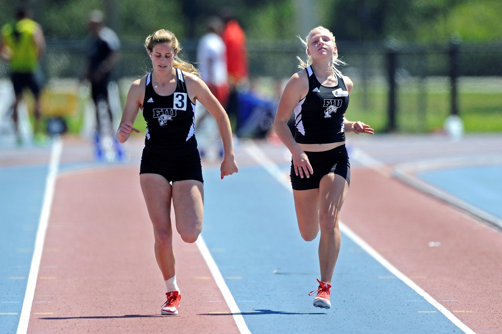 Maria Alea - 2013-14 - Women's Cross Country/Track - FIU Athletics