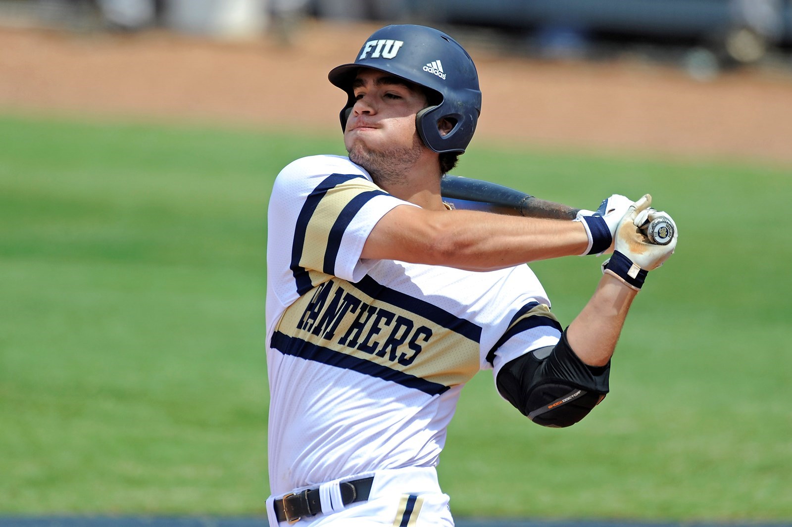 Brian Portelli - 2015 - Baseball - FIU Athletics