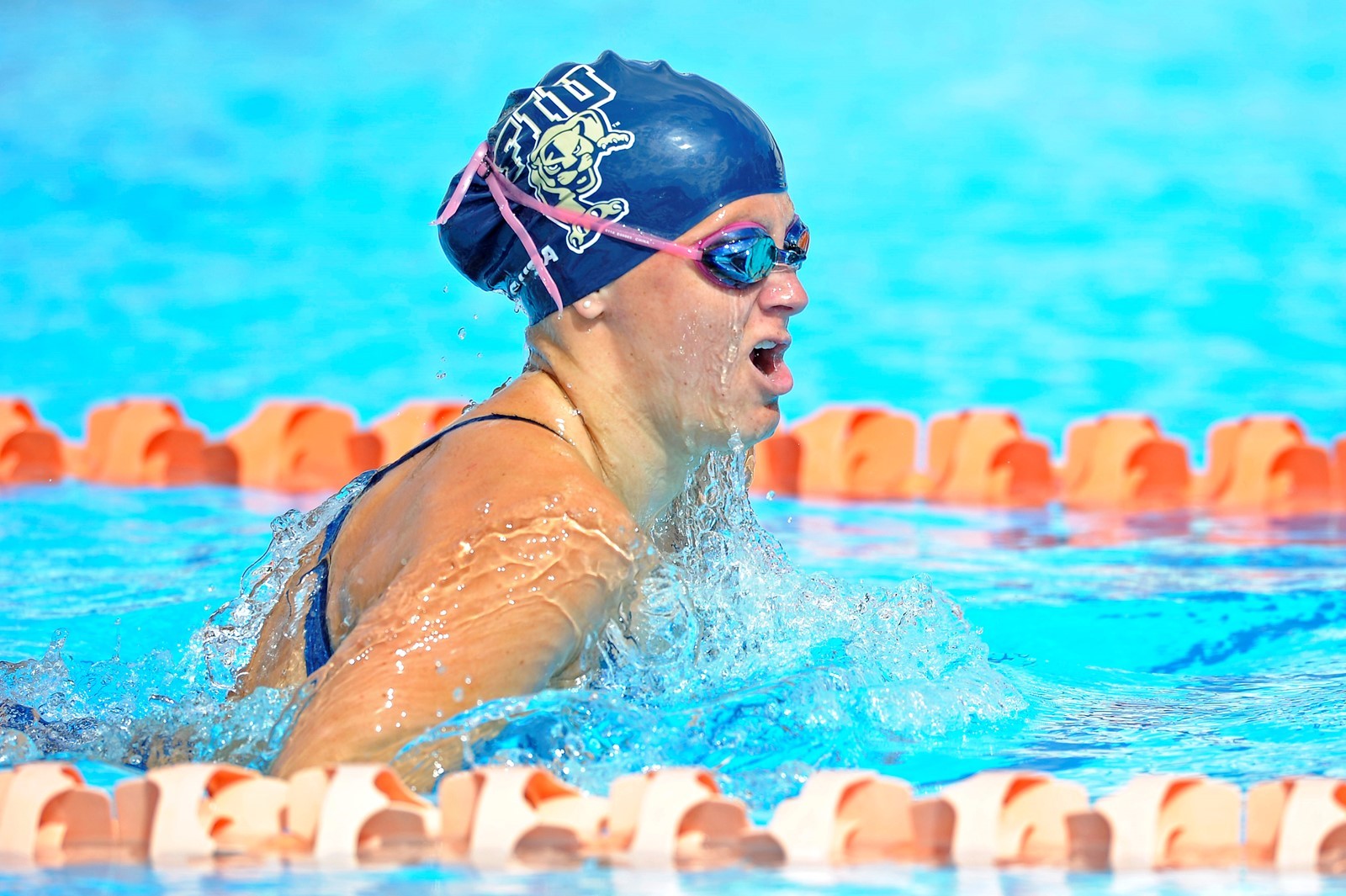 Chase Harris - 2017-18 - Swimming and Diving - FIU Athletics