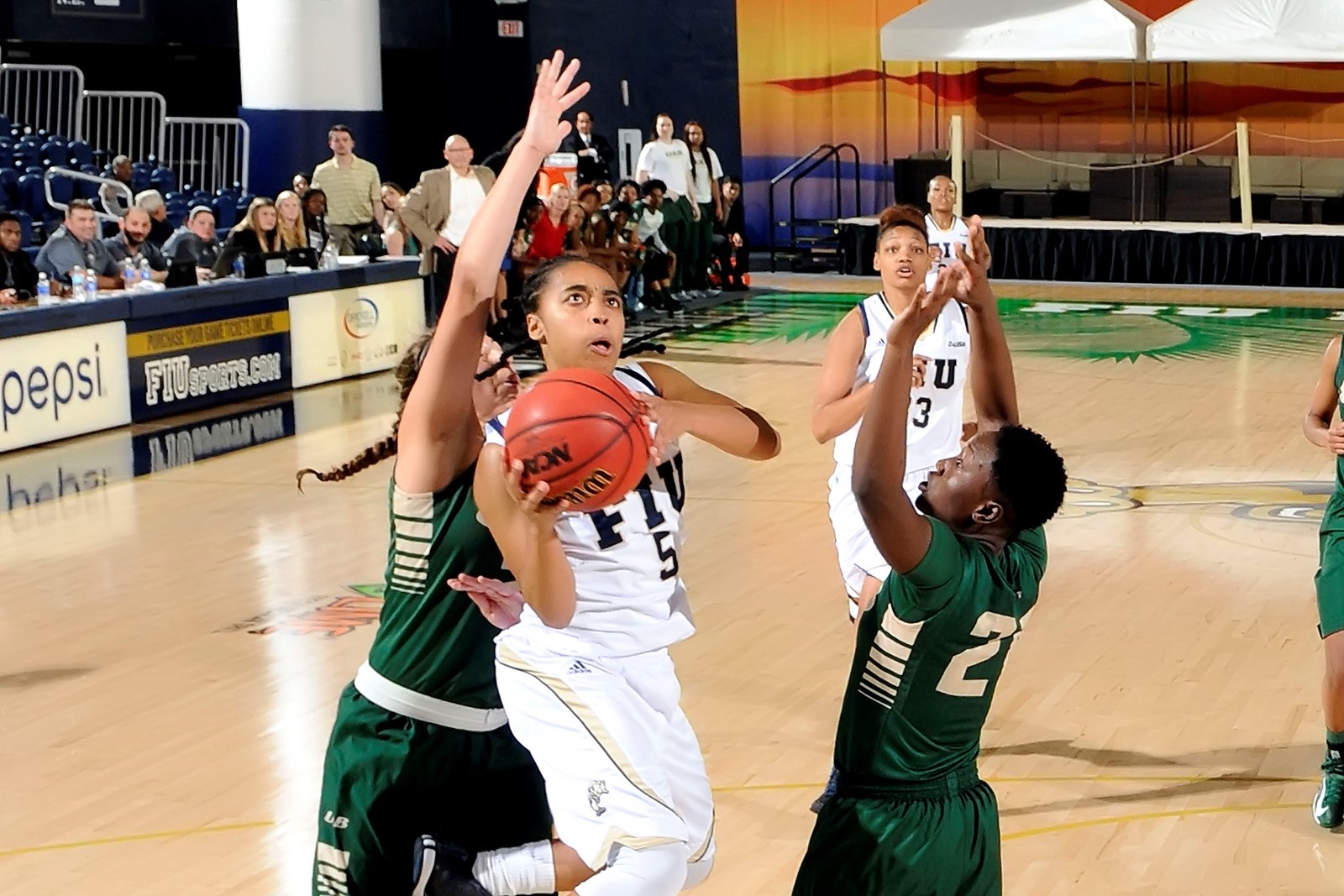 Taylor Shade - 2015-16 - Women's Basketball - FIU Athletics