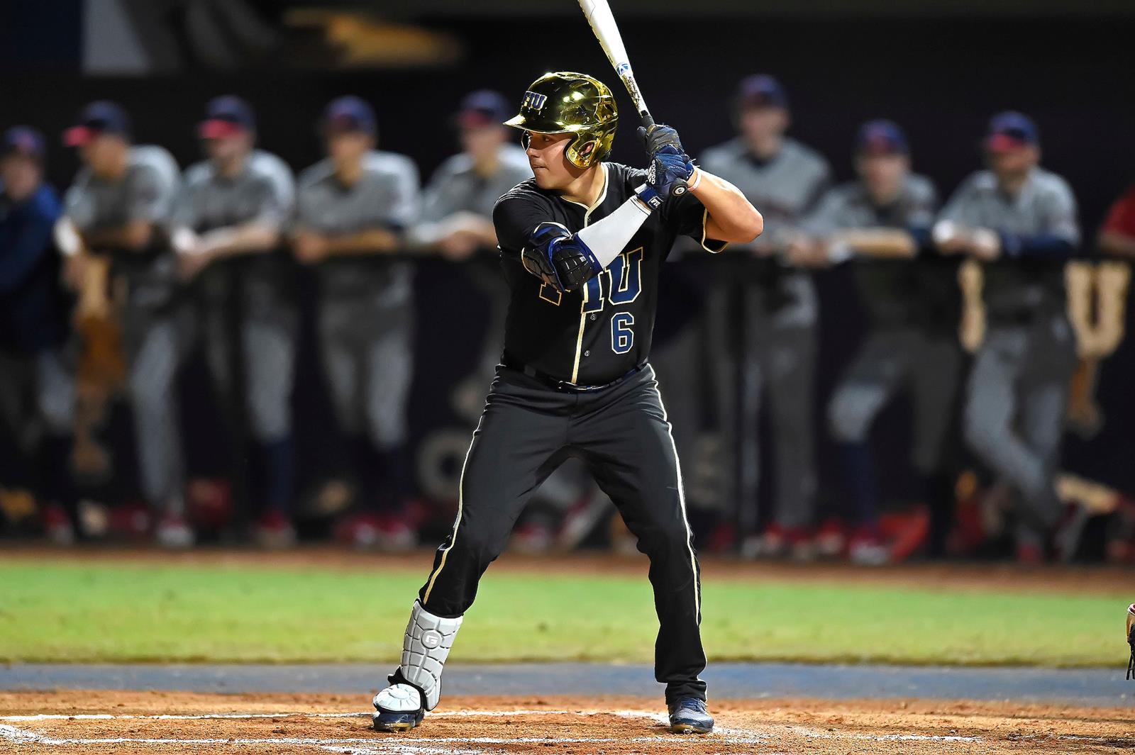 Austin Shenton - 2019 - Baseball - FIU Athletics