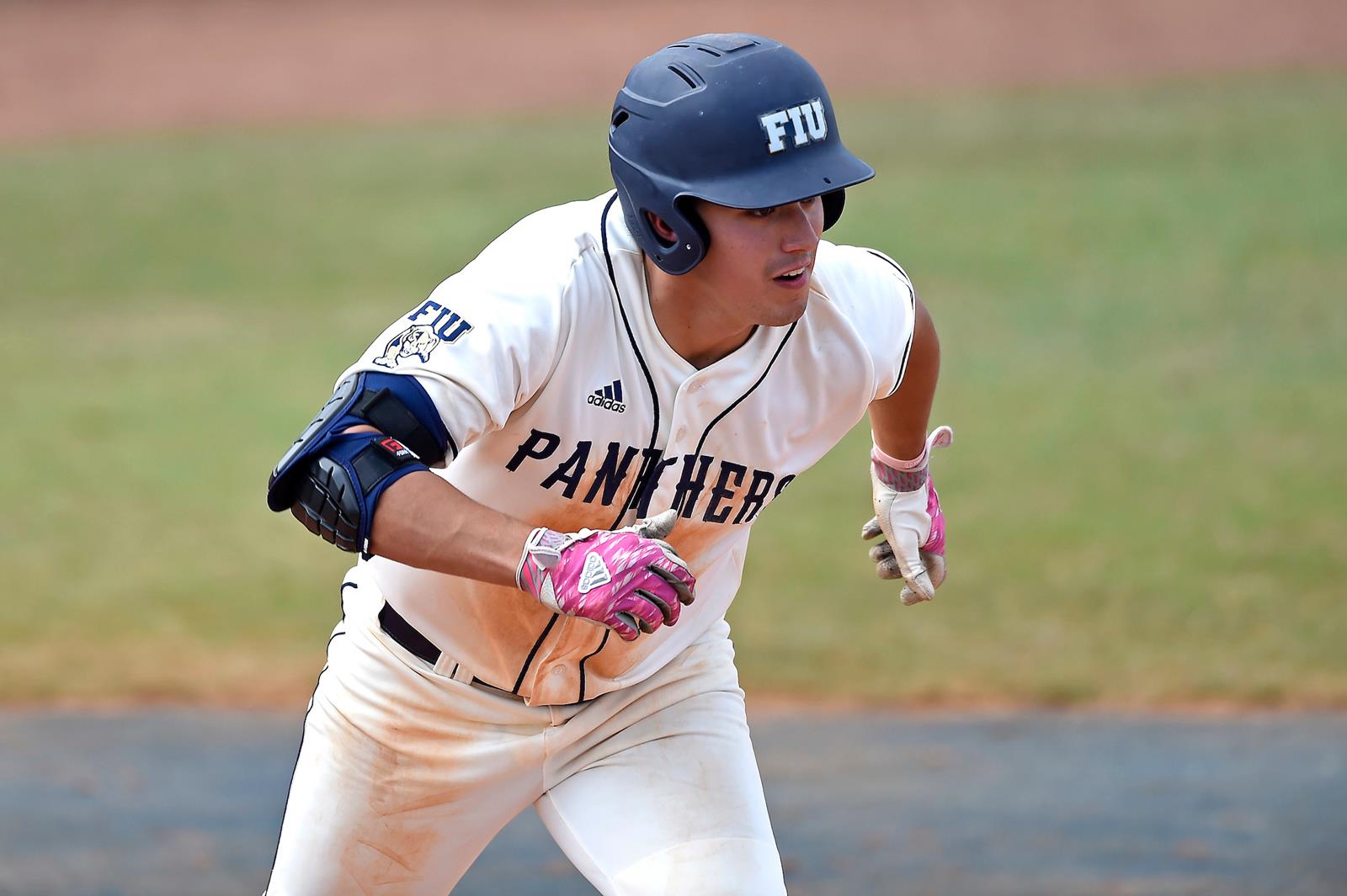 Austin Shenton - 2019 - Baseball - FIU Athletics