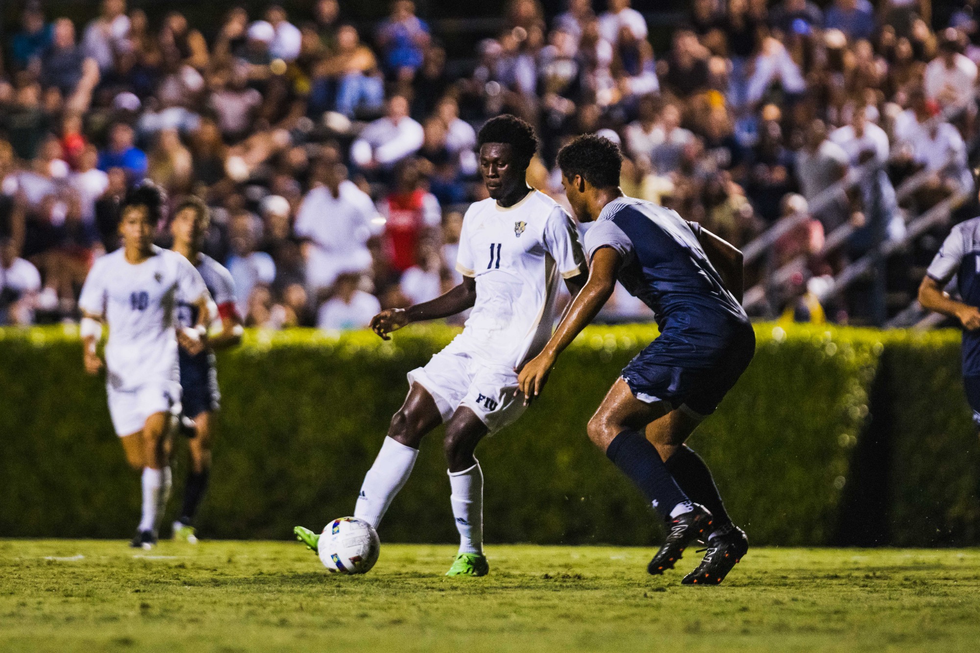 Stephen Afrifa - 2022 - Men's Soccer - FIU Athletics