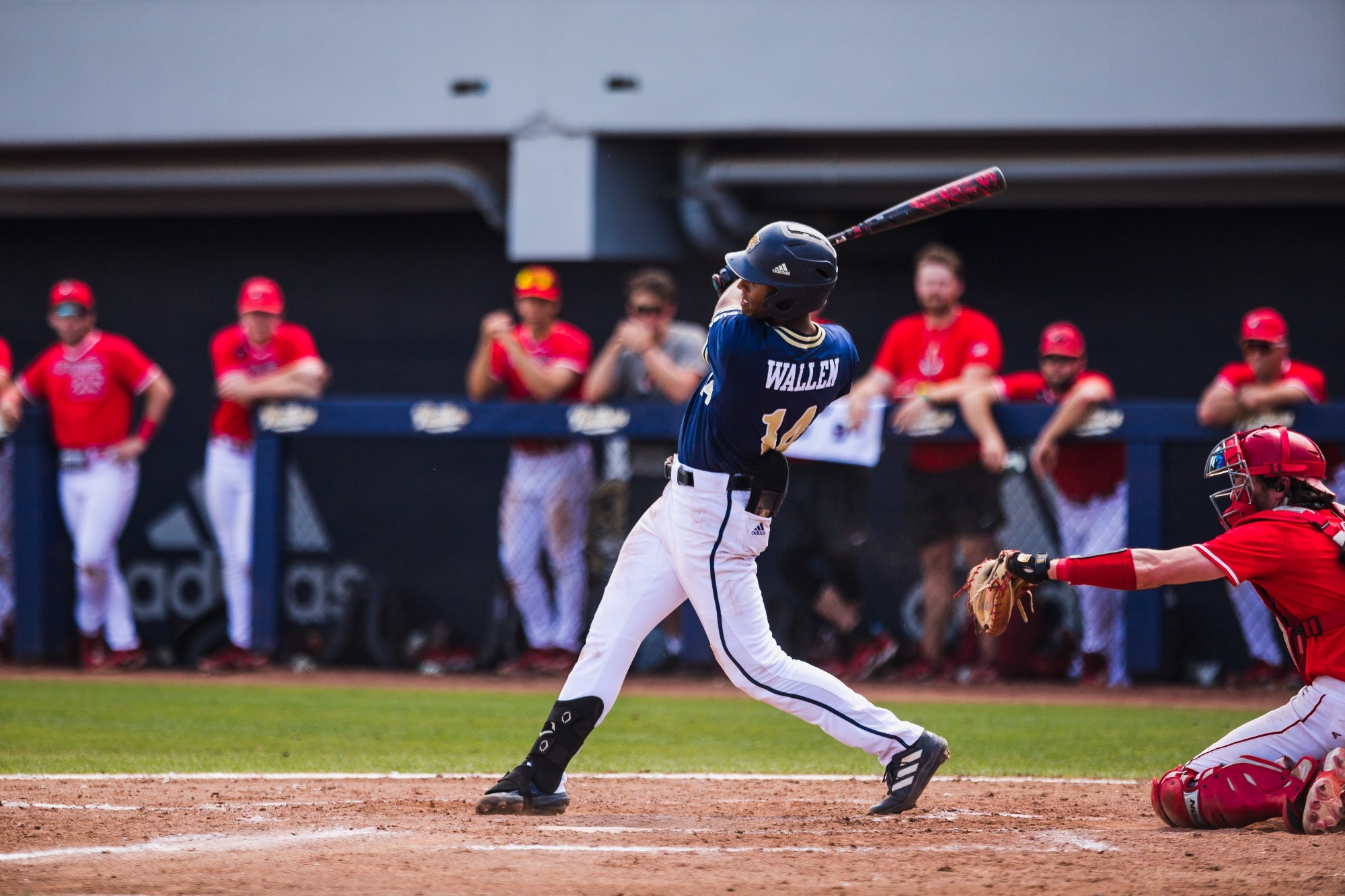 Henry Wallen - 2023 - Baseball - FIU Athletics