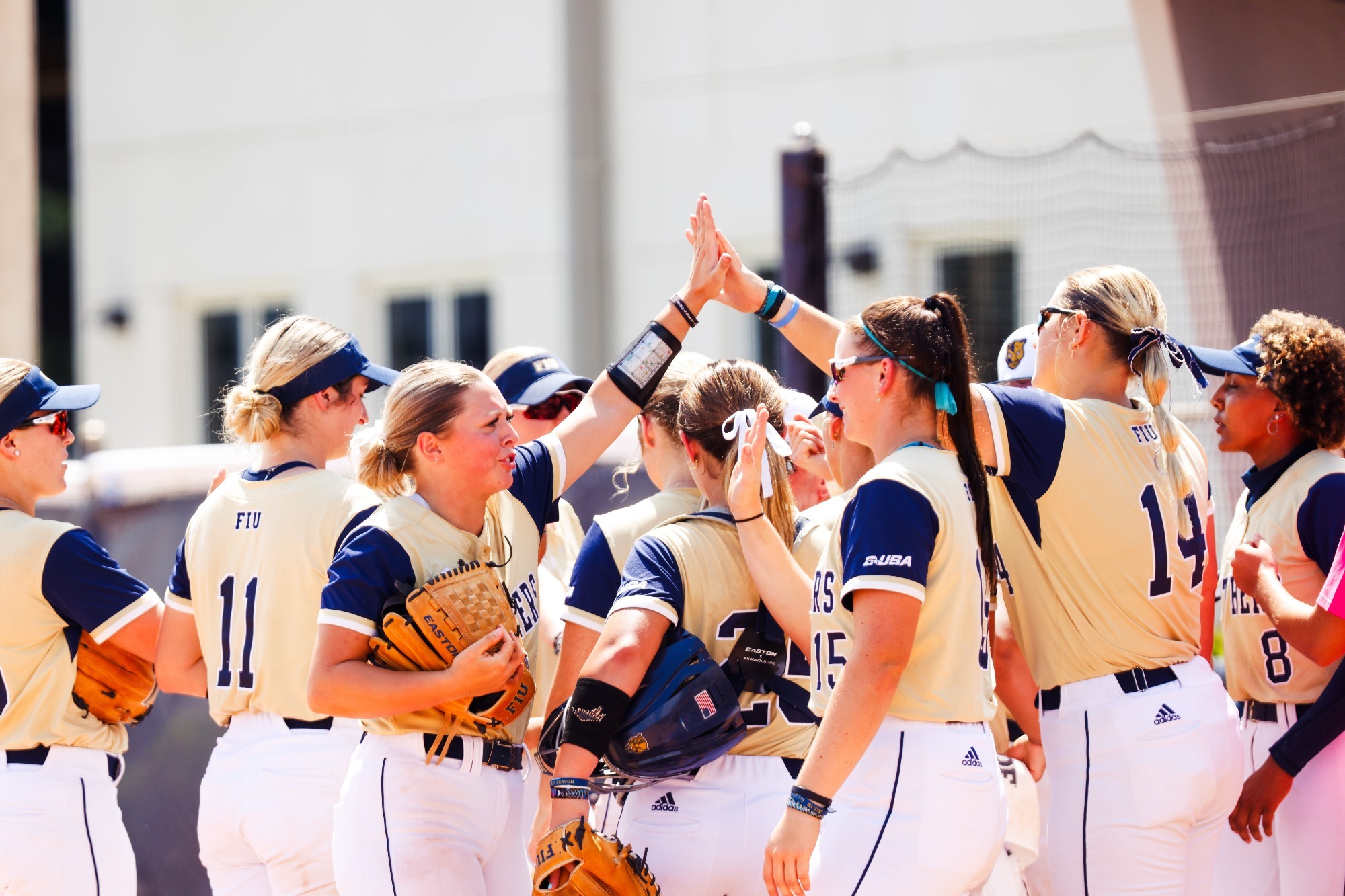 Softball Lets Leads Slip Away in Doubleheader against Middle Tennessee ...