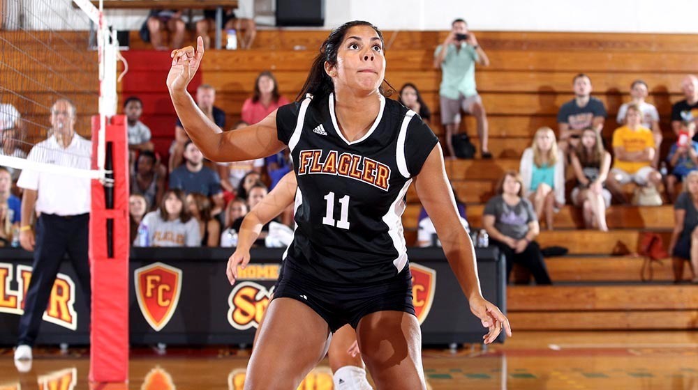 Jailene Torres-Lopez - 2015 - Women's Volleyball - Flagler College ...