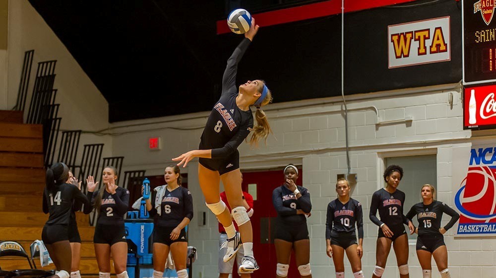 Shea Hamilton - 2016 - Women's Volleyball - Flagler College Athletics