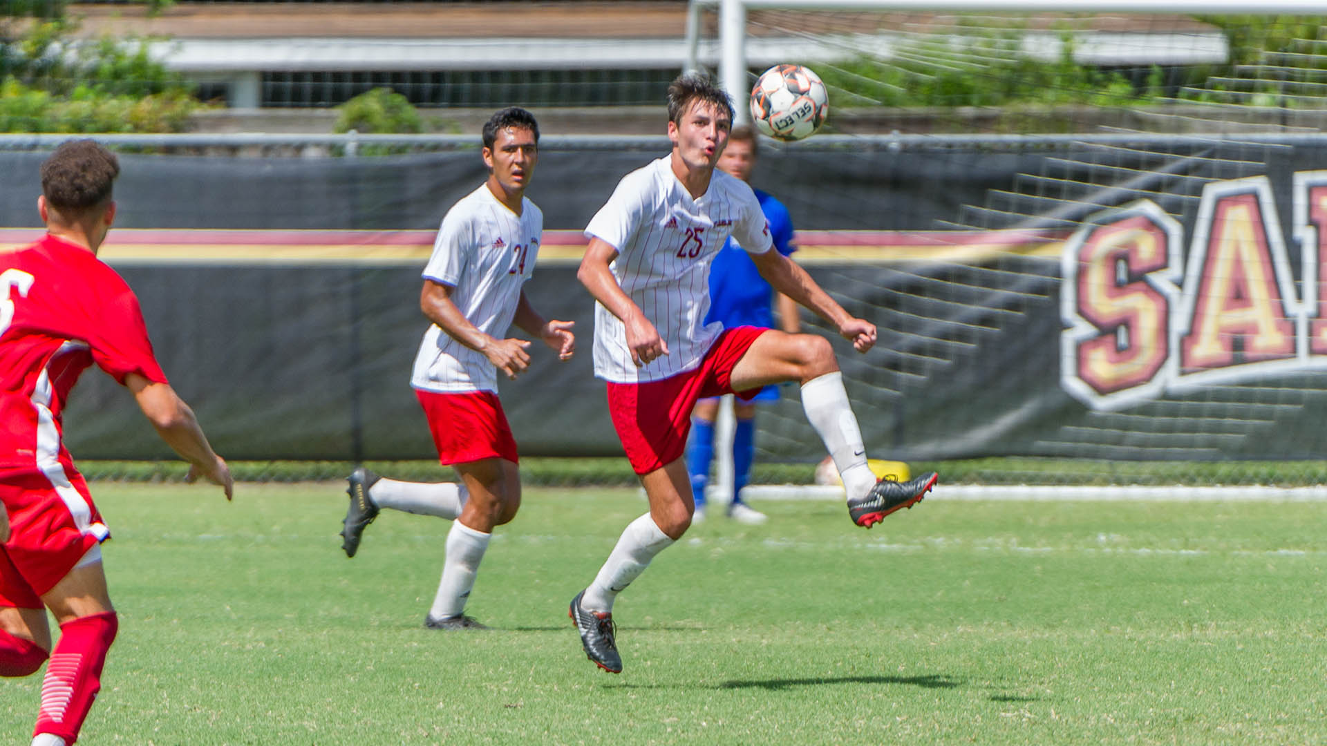 Stefan Zec-Bobek - 2019 - Men's Soccer - Flagler College Athletics