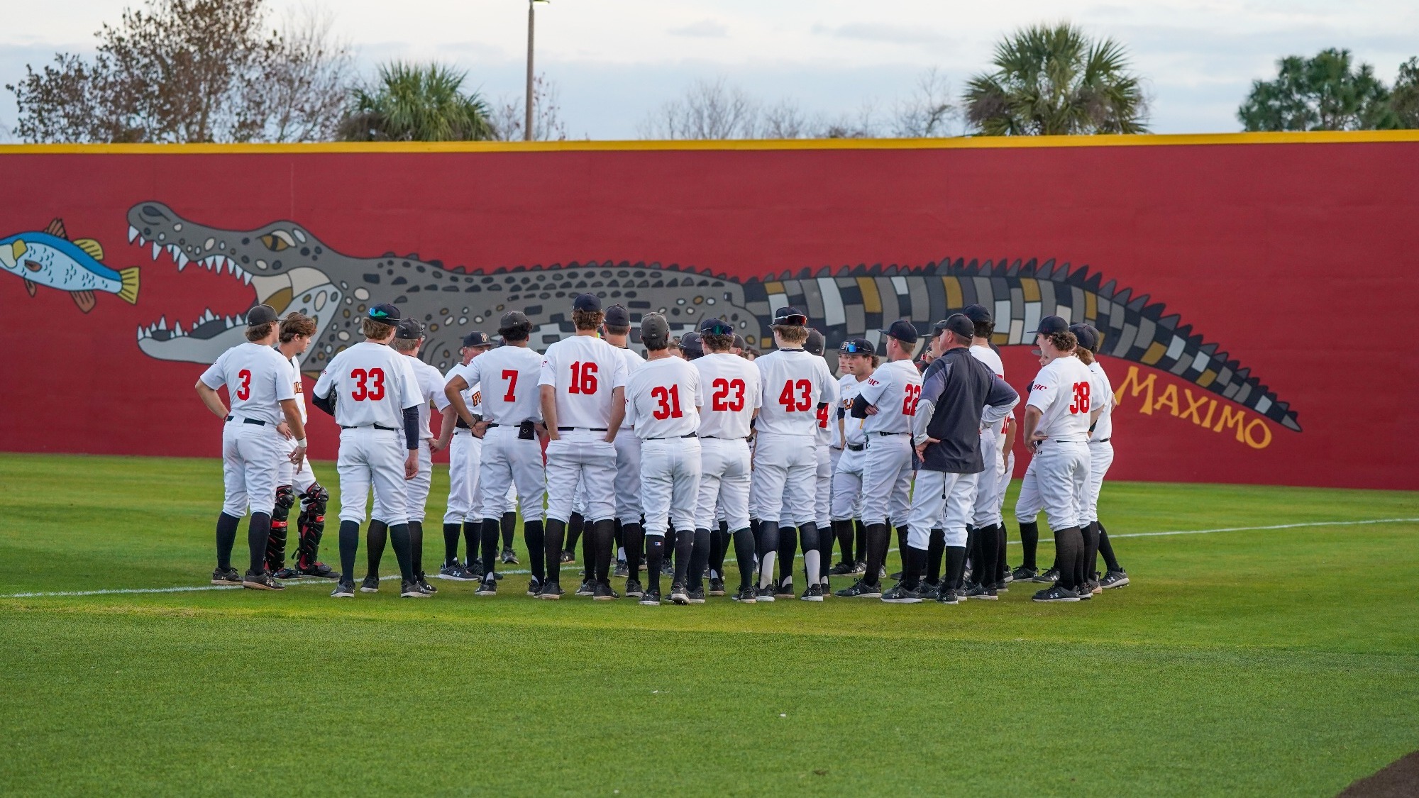 Saints swept by Lions on Saturday - Flagler College Athletics