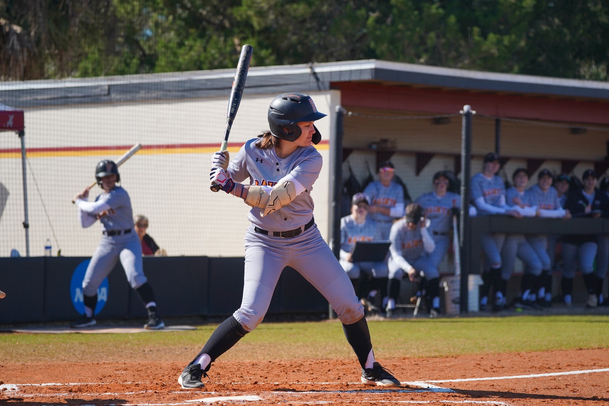 Saints down Bobcats to take weekend series - Flagler College Athletics