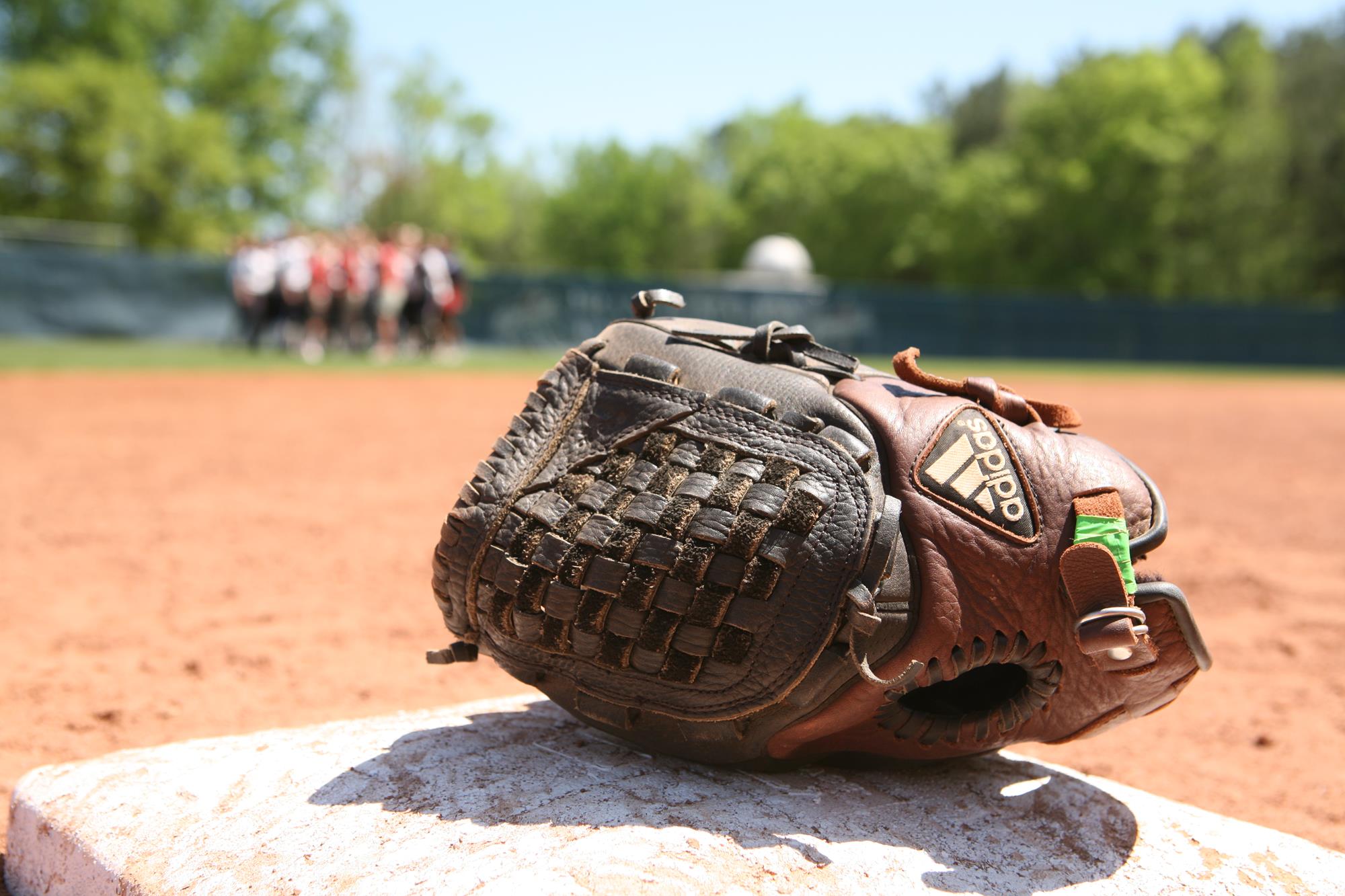 Patriot softball adds Chesterfield first baseman - Francis Marion ...