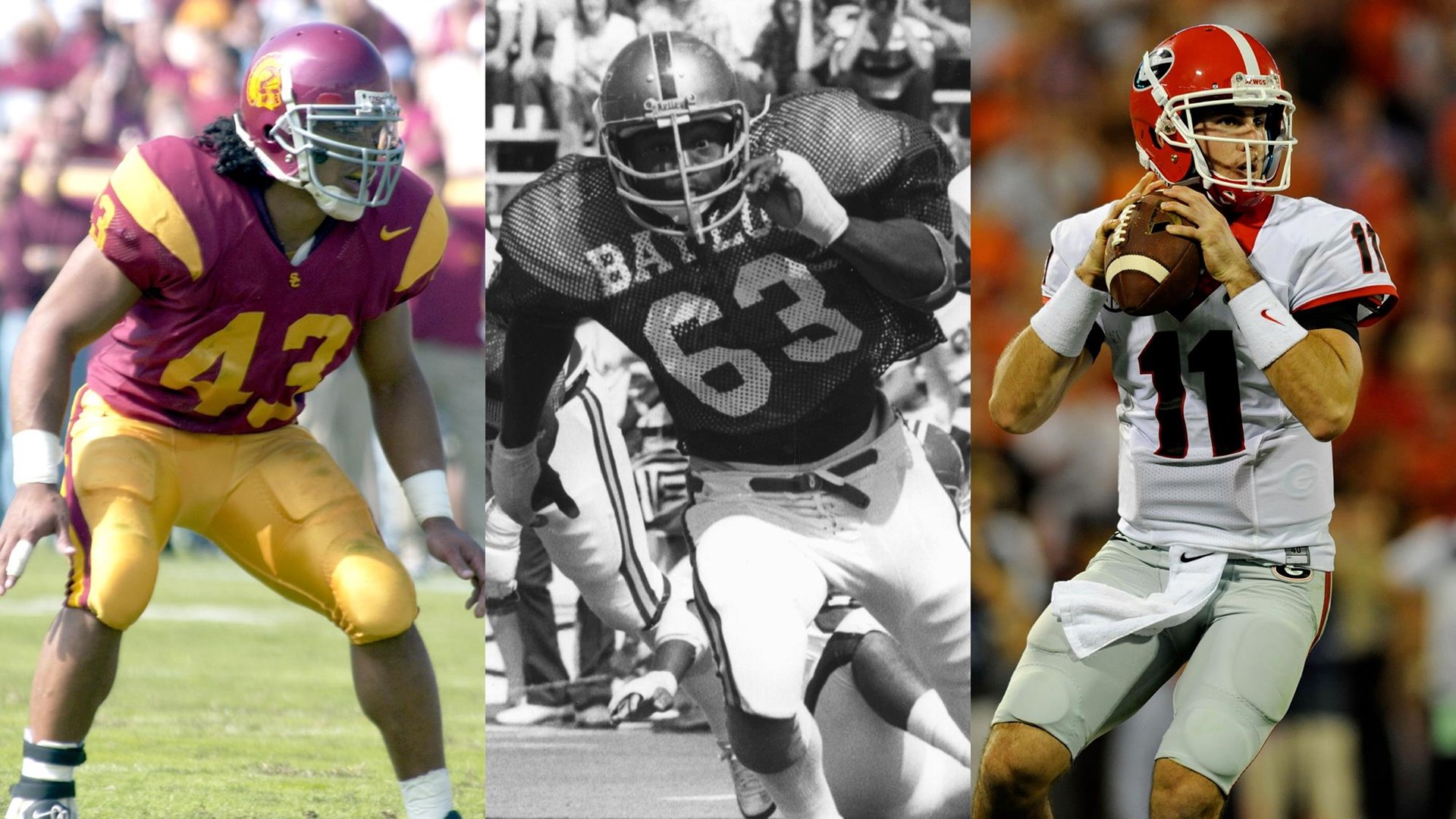 Seven with NFF Ties Part of Inaugural Alliance of American Football ...