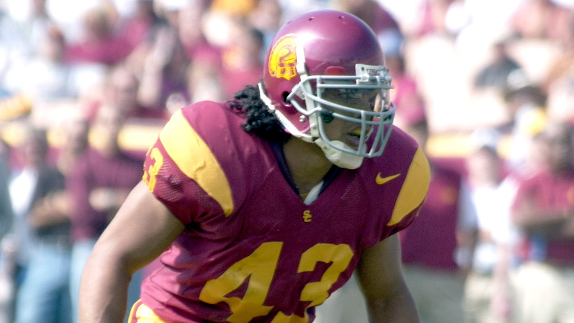 2019 College Football Hall of Fame Profile: Troy Polamalu - National ...