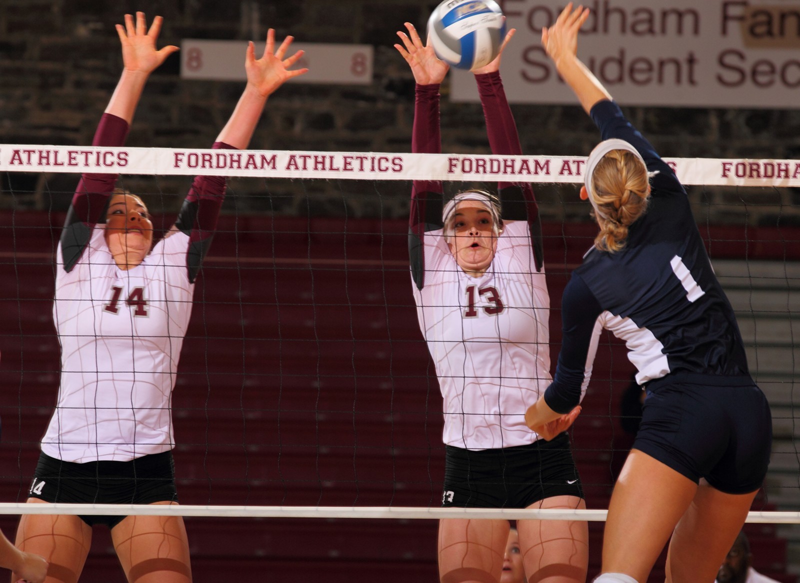 Lisa Hipp - Women's Volleyball - Fordham University Athletics