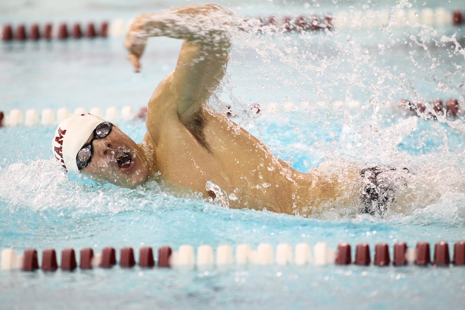 Joe Mercurio - Men's Swimming and Diving - Fordham University Athletics