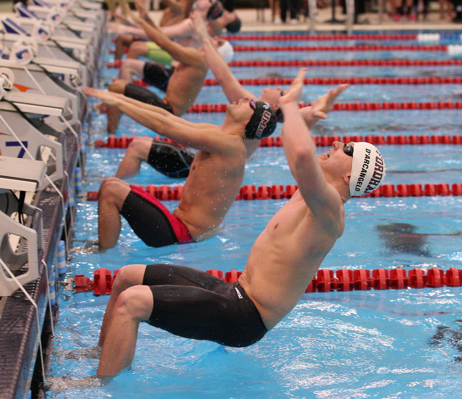 Ethan D'Arcangelo - Men's Swimming and Diving - Fordham University ...