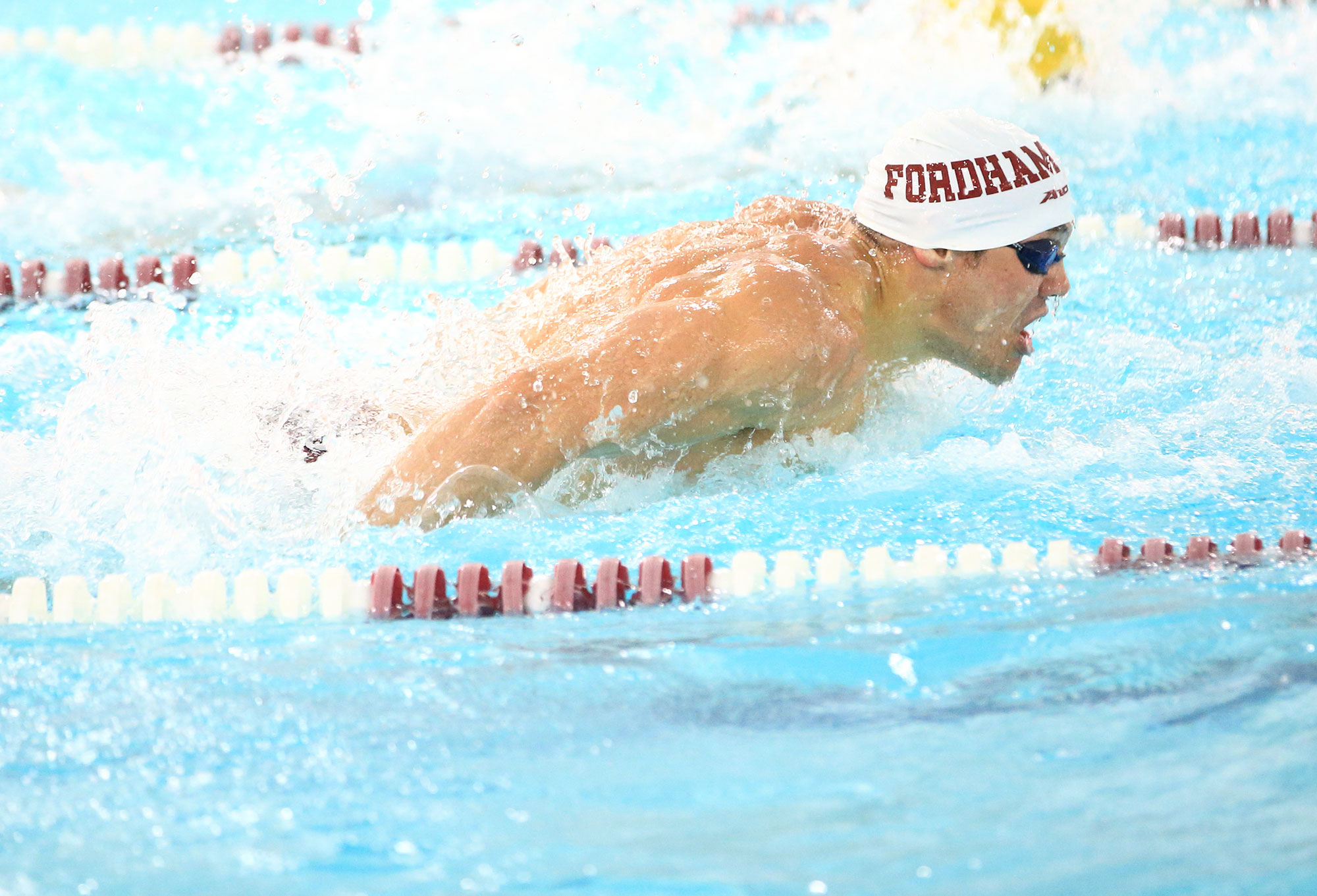 Joe Mercurio - Men's Swimming and Diving - Fordham University Athletics