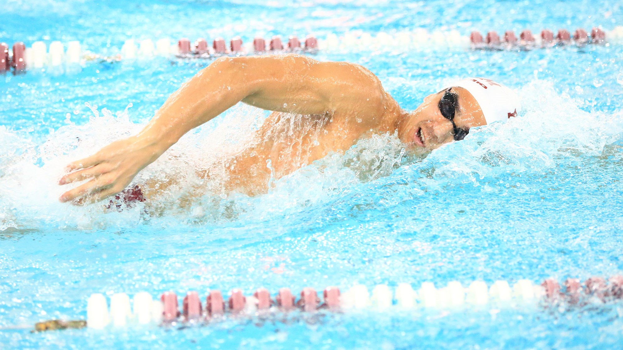 Travis Monahan - Men's Swimming and Diving - Fordham University Athletics