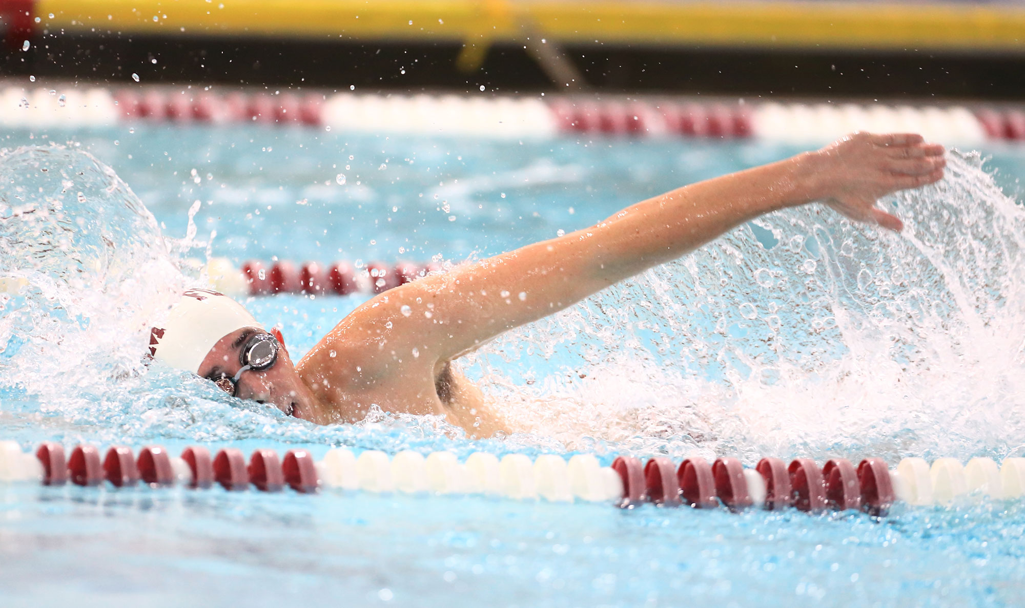 Doug Grisbaum - Men's Swimming and Diving - Fordham University Athletics