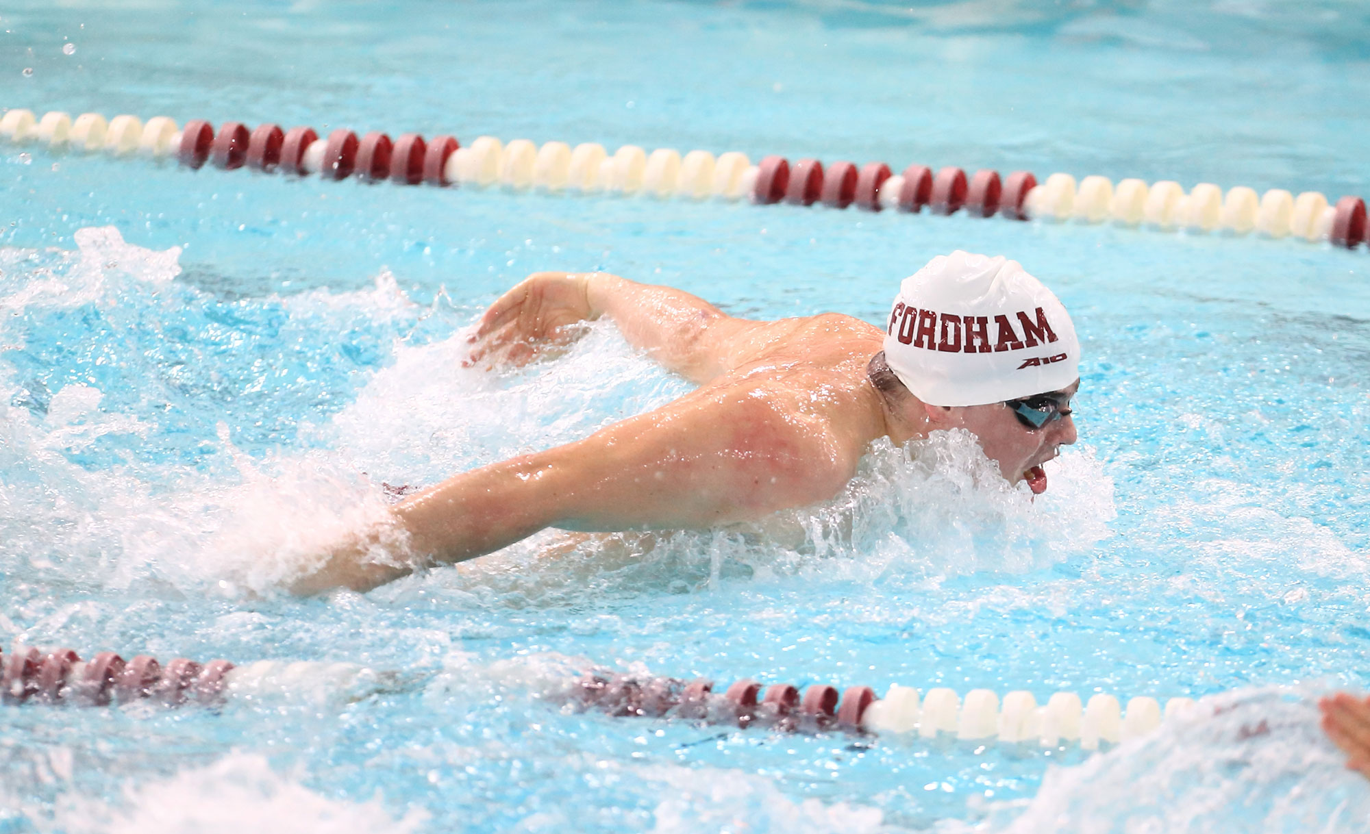 Greg Lombana - Men's Swimming and Diving - Fordham University Athletics