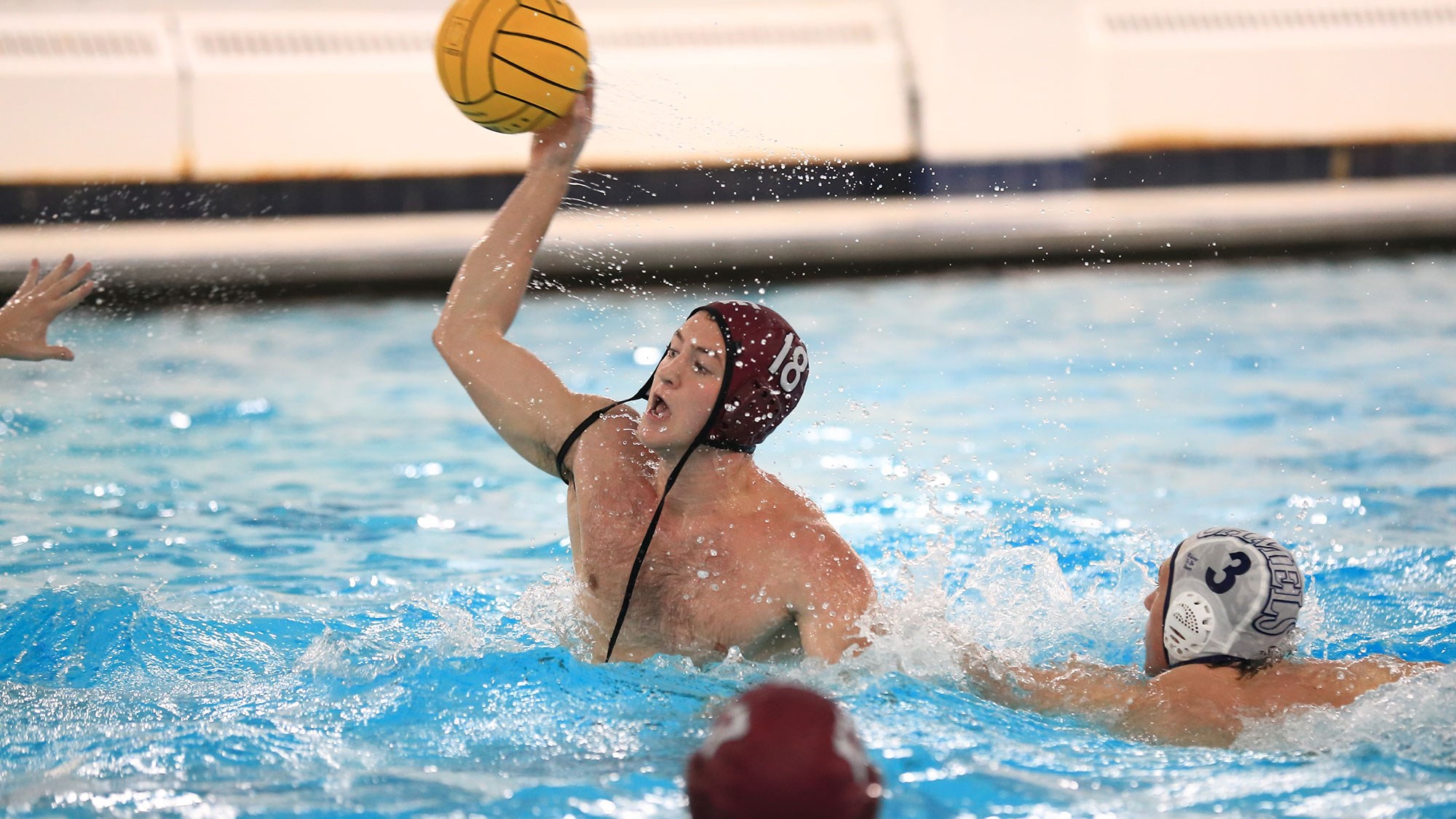 Nikolai Kapetan - Men's Water Polo - Fordham University Athletics
