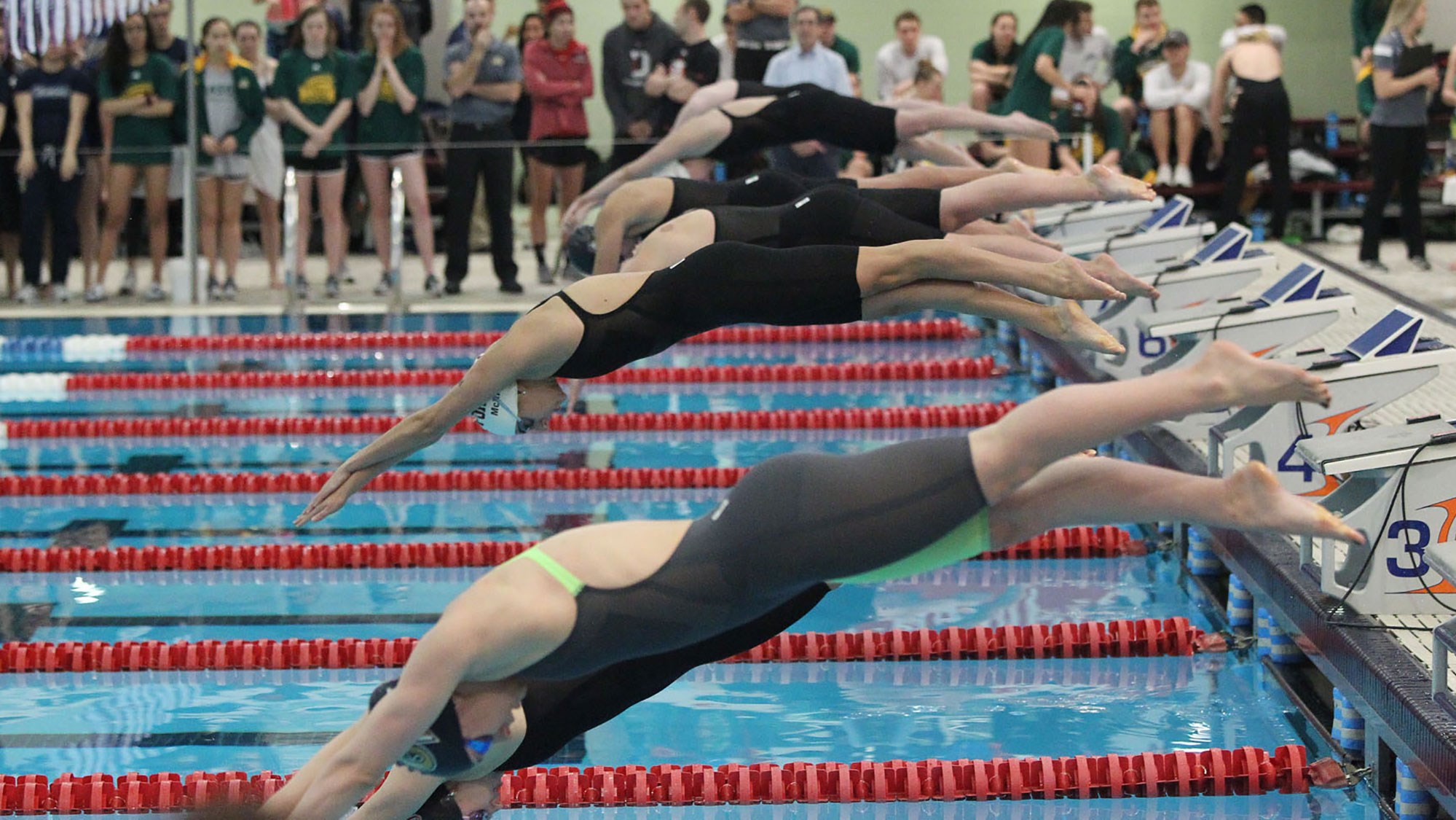 Caitlin McNary - Women's Swimming and Diving - Fordham University Athletics