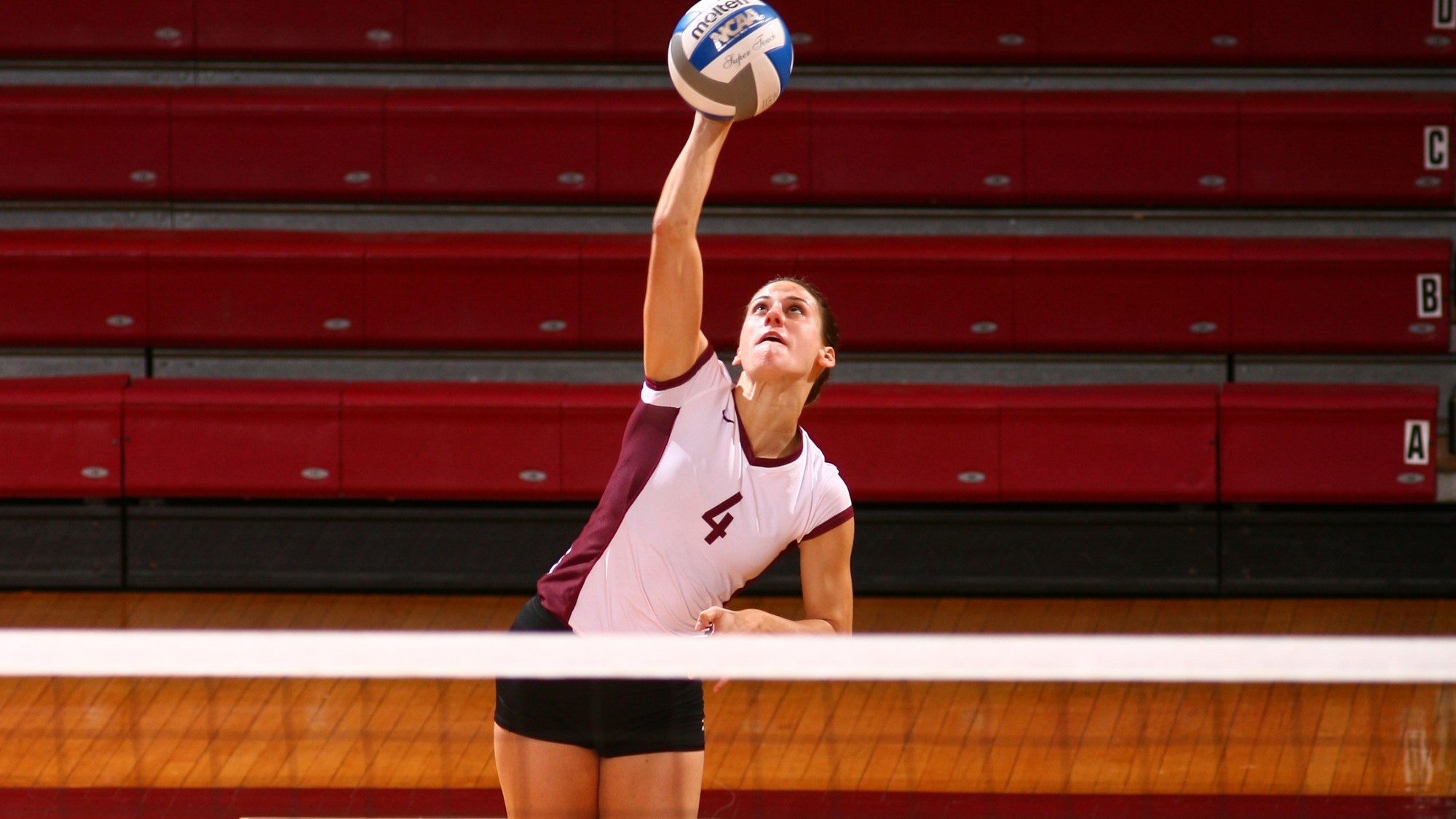 Megan Arend - Women's Volleyball - Fordham University Athletics