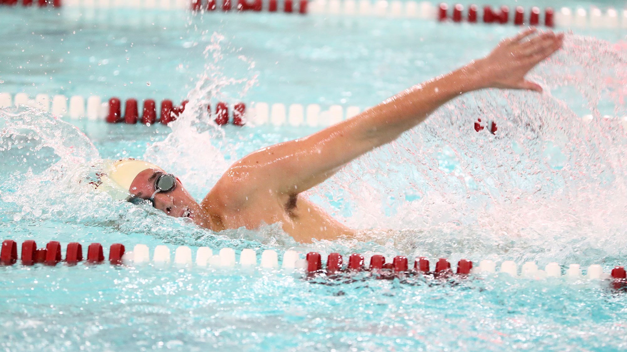 Doug Grisbaum - Men's Swimming and Diving - Fordham University Athletics