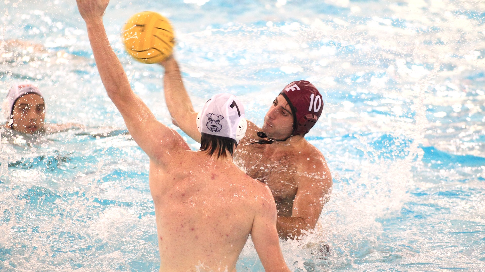 Ori Raz - Men's Water Polo - Fordham University Athletics