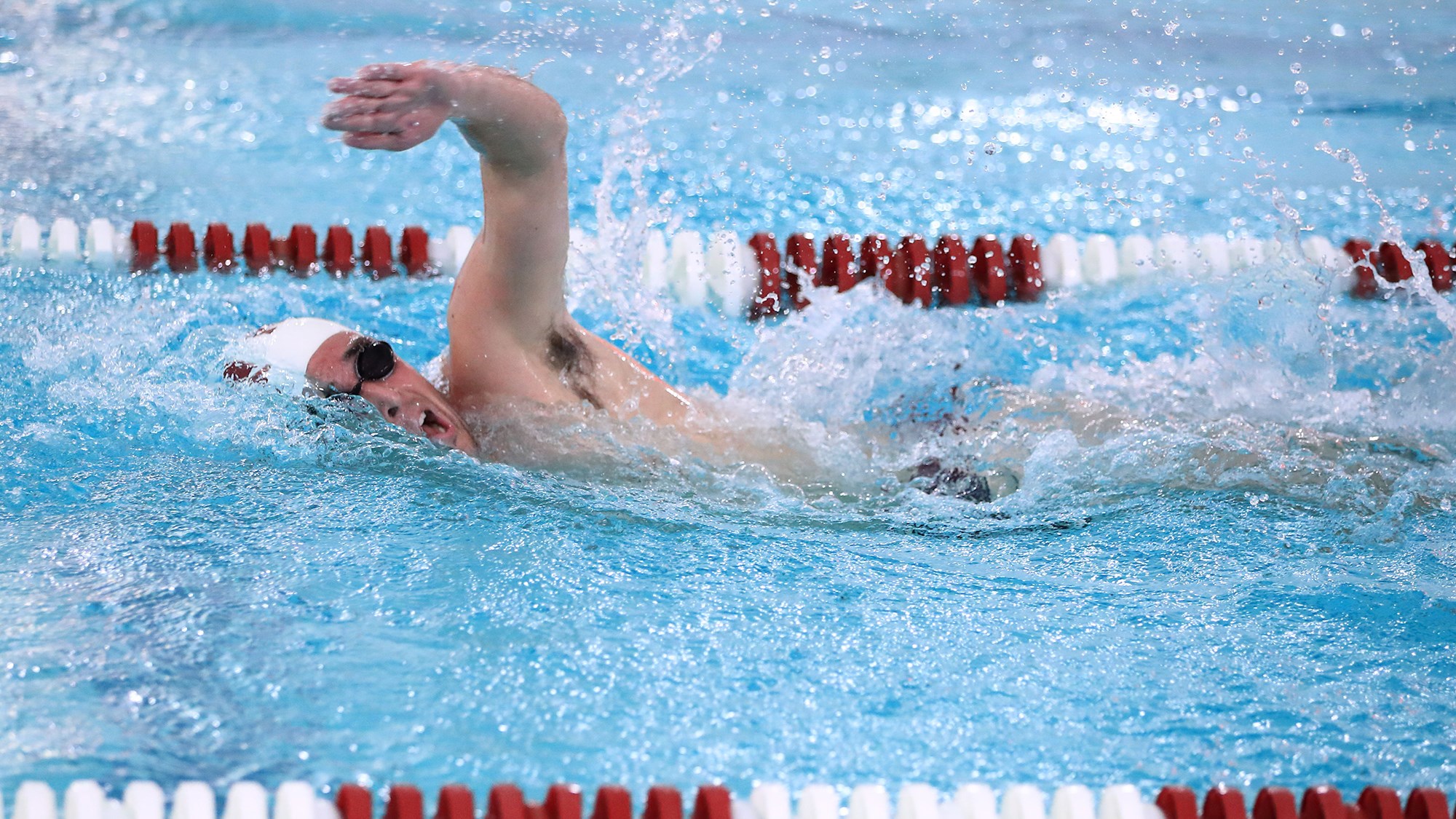 Doug Grisbaum - Men's Swimming and Diving - Fordham University Athletics