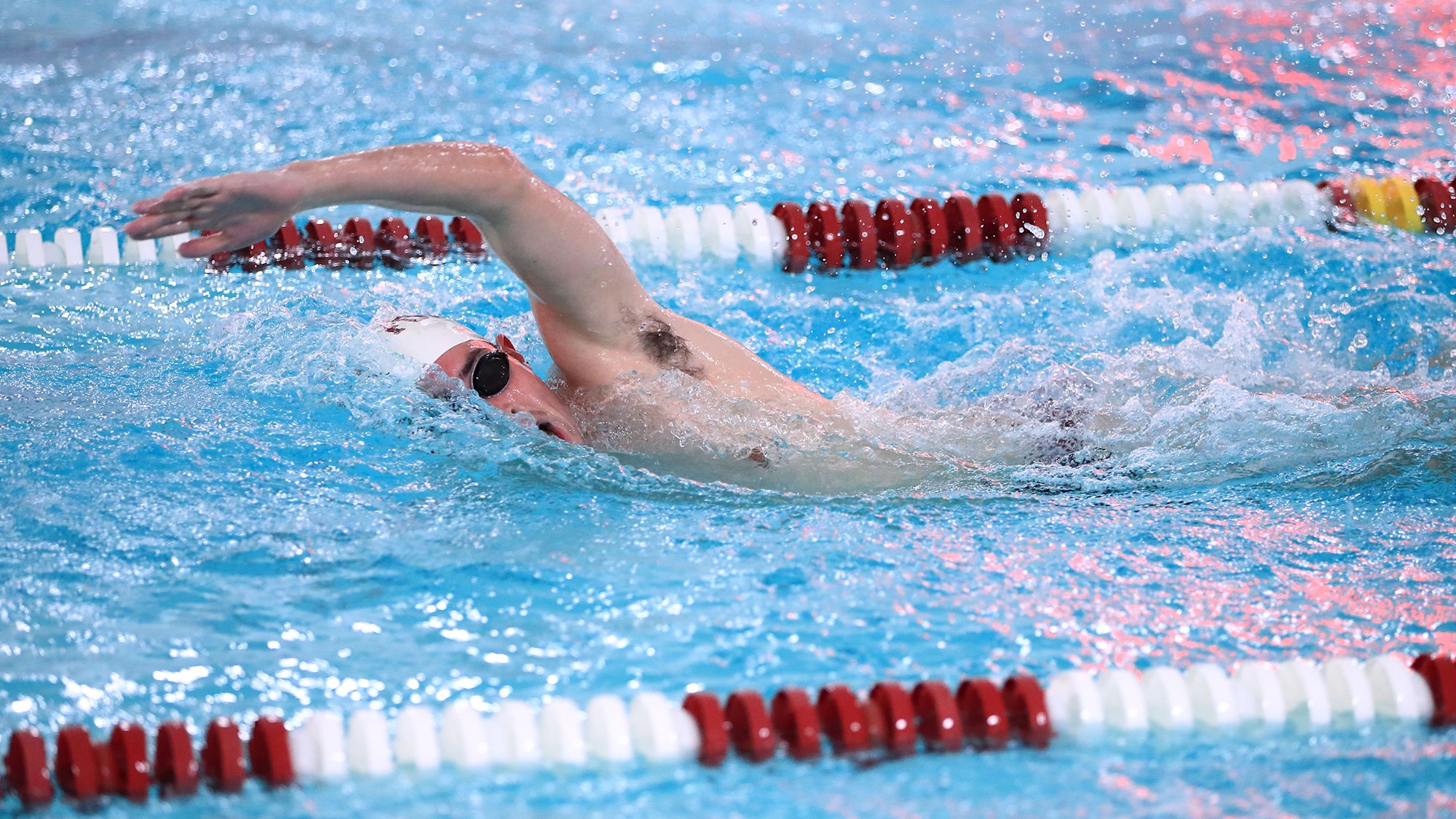 Doug Grisbaum - Men's Swimming and Diving - Fordham University Athletics