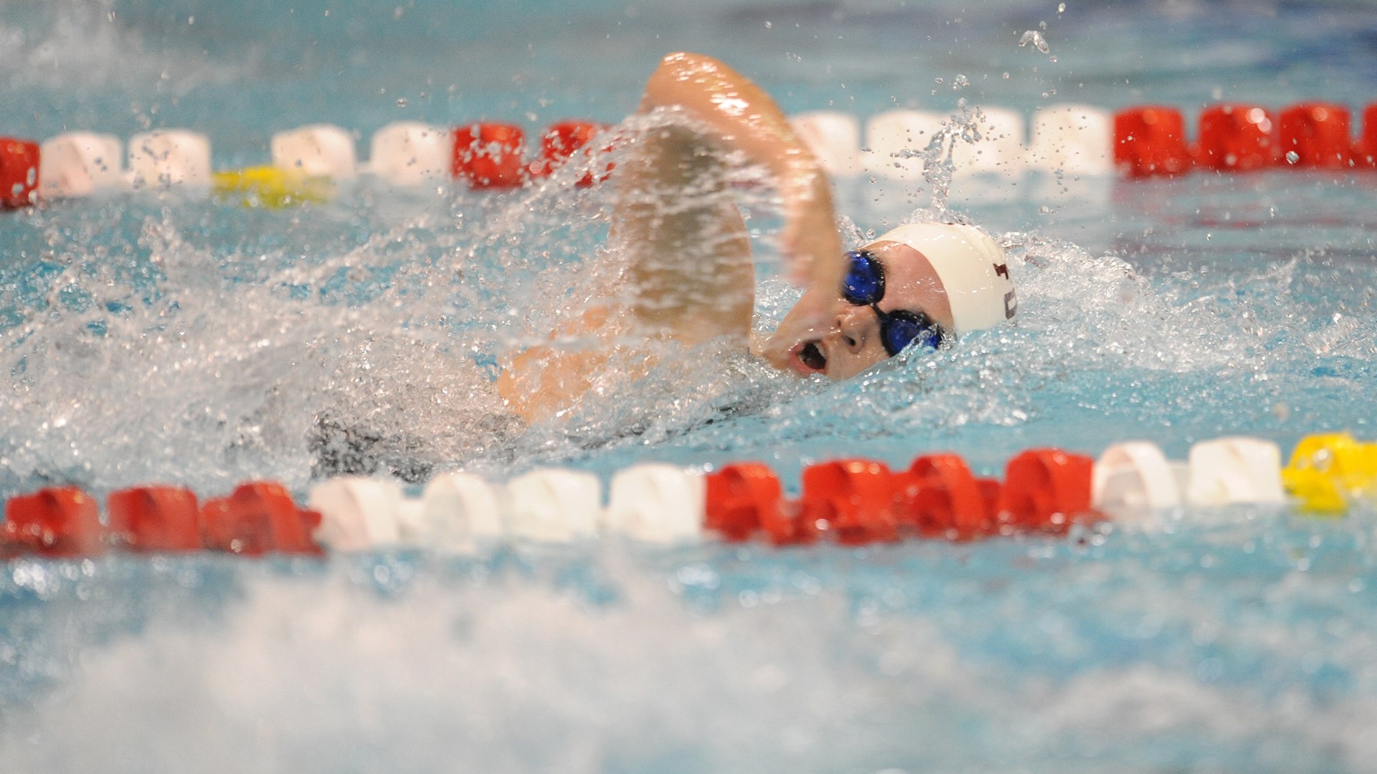 Alexandra Alessi - Women's Swimming and Diving - Fordham University ...