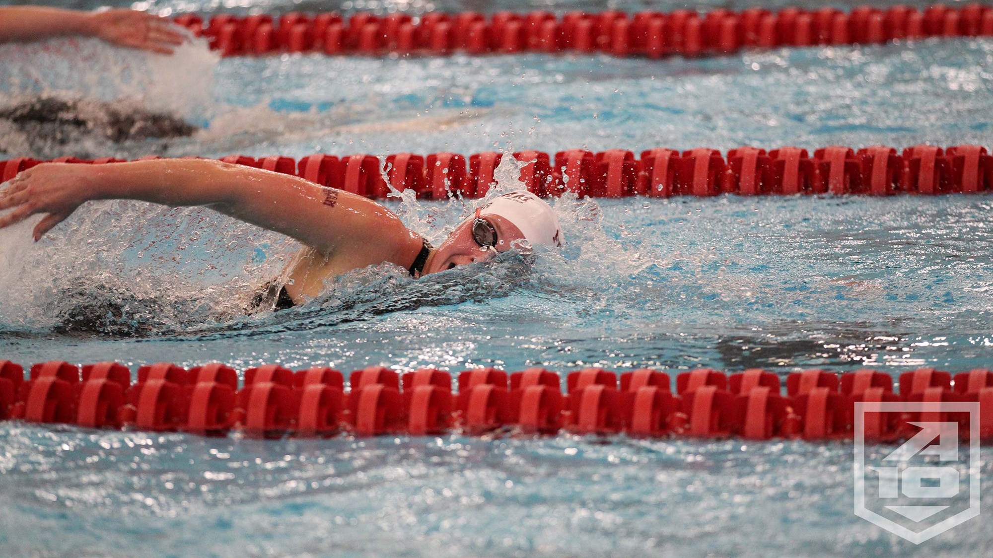 Clare Culver - Women's Swimming and Diving - Fordham University Athletics