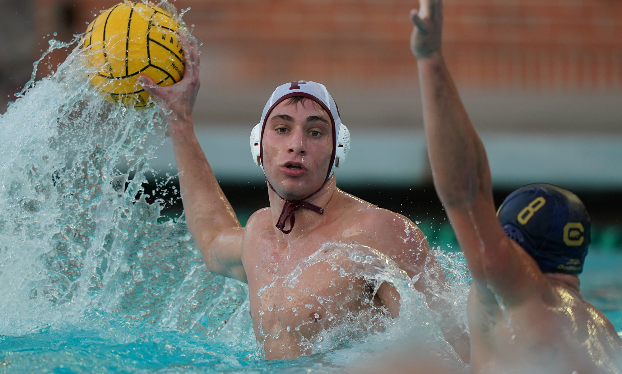 Water Polo Downed by #2 Cal at NCAA Championship - Fordham University Athletics