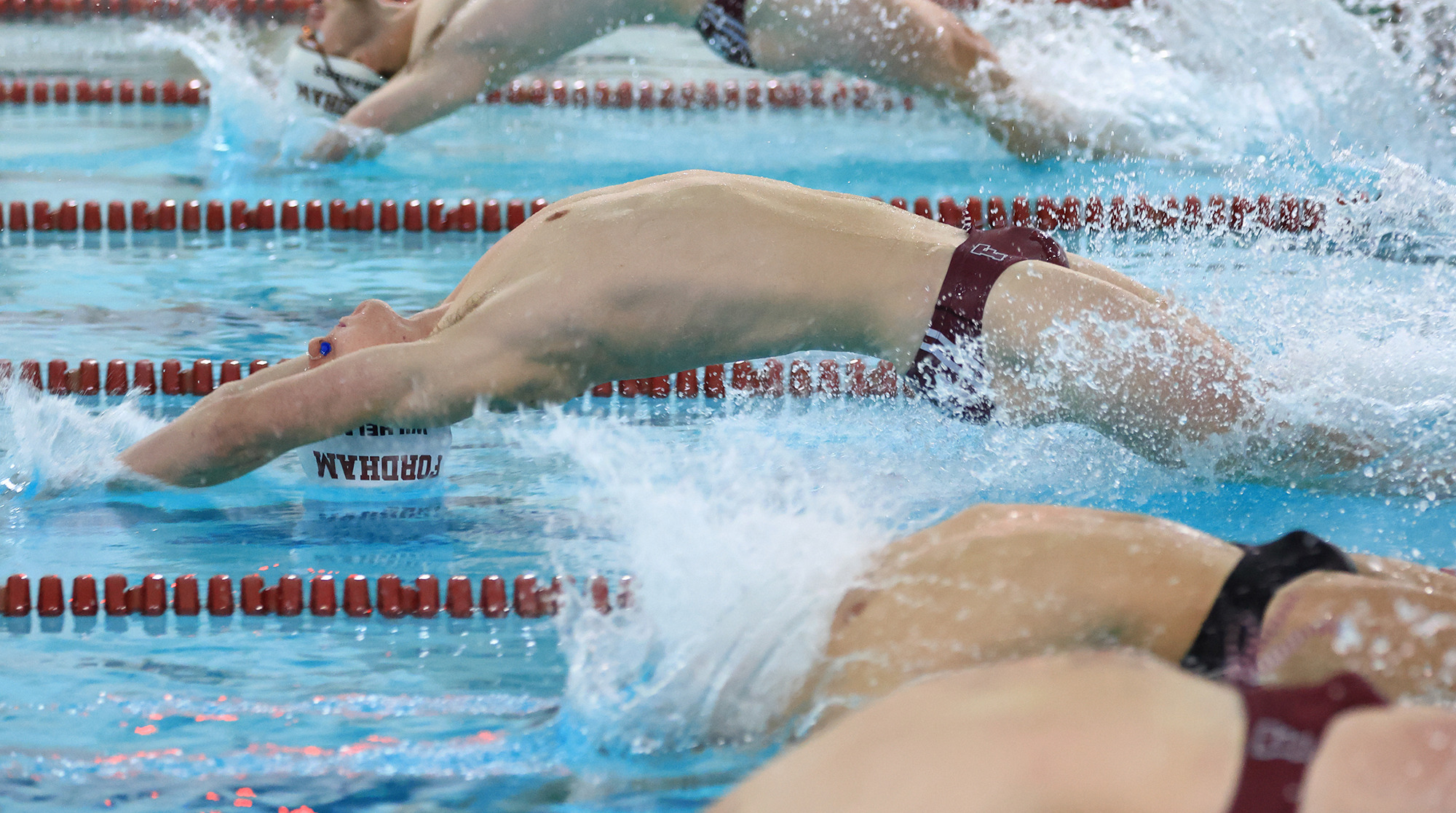 Alex Wilhelm - Men's Swimming and Diving - Fordham University Athletics