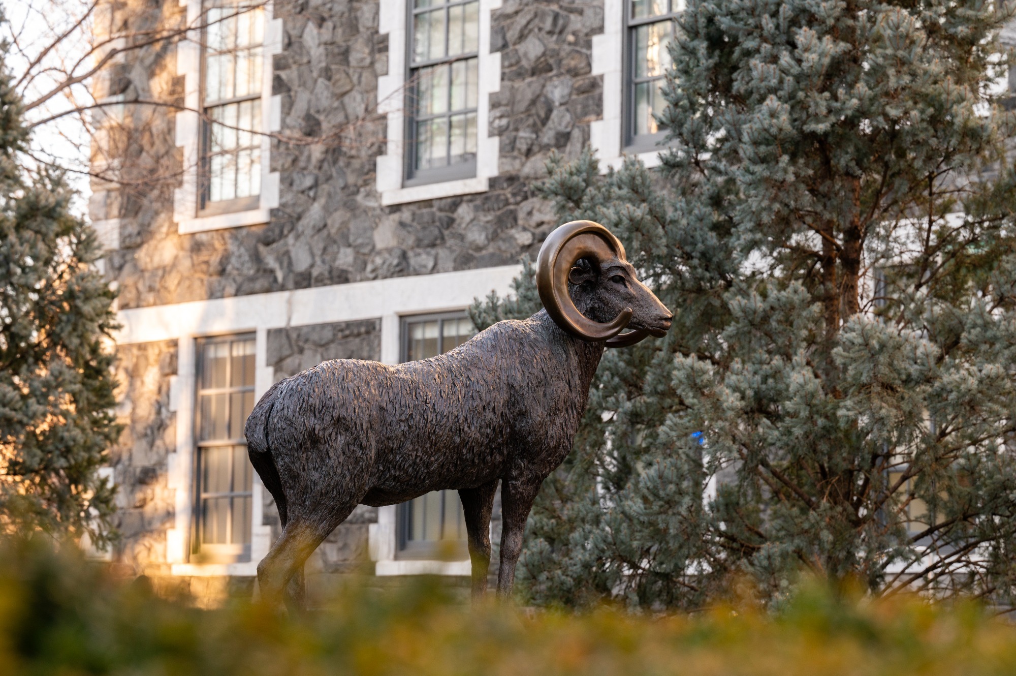 Fordham Athletics Spring Auction Now Live - Fordham University Athletics