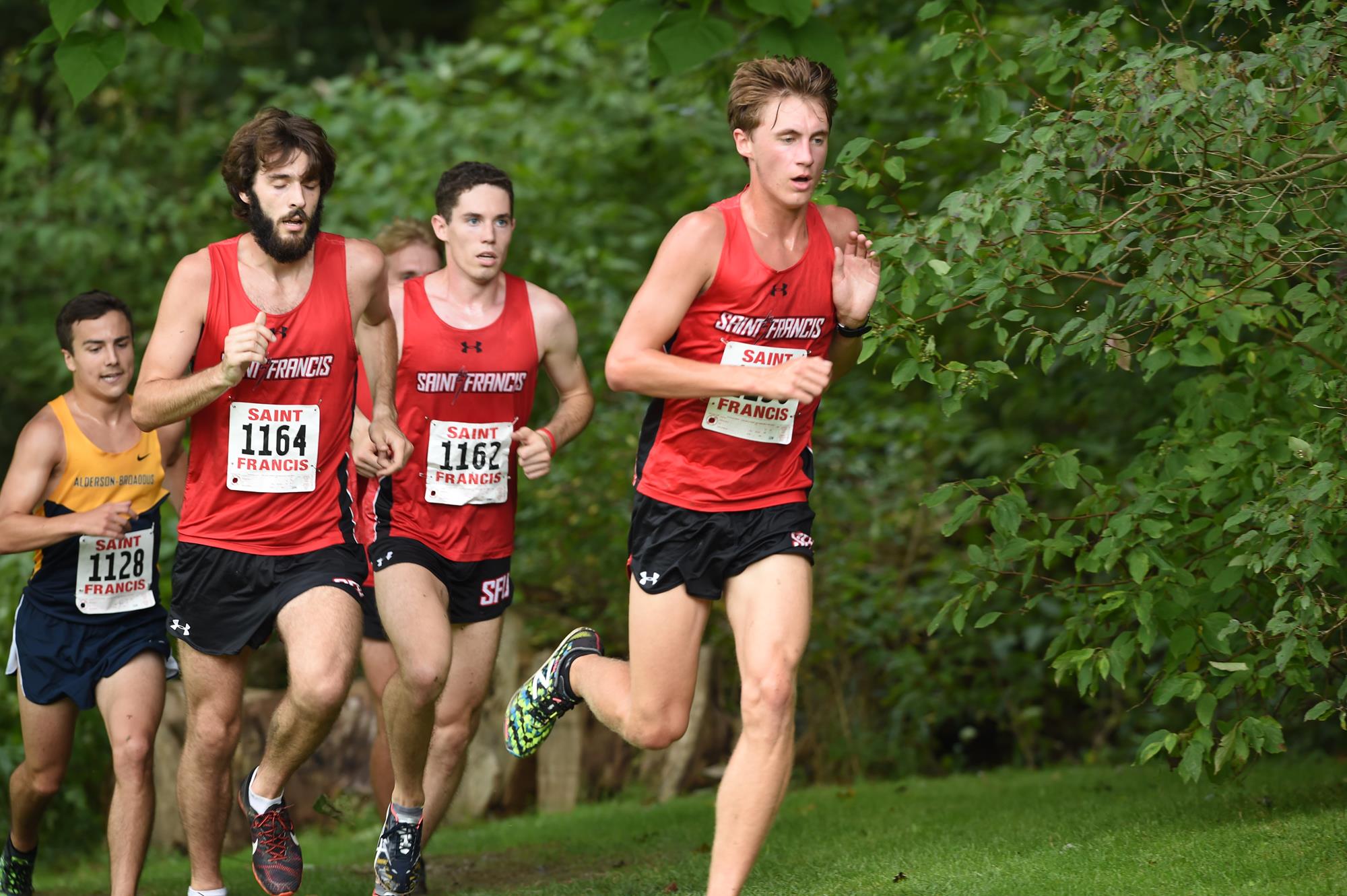 Brenden Miller - Men's Cross Country - Saint Francis University Athletics