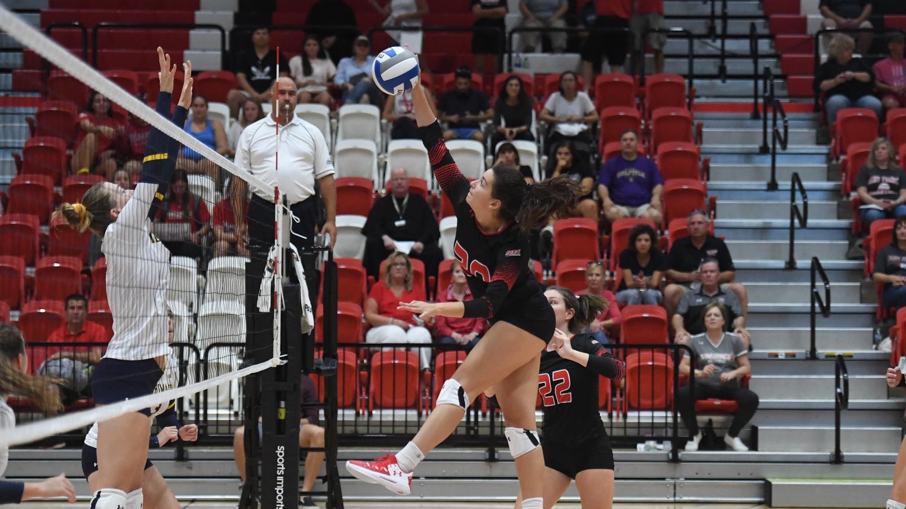 Sophie Rice - Women's Volleyball - Saint Francis University Athletics