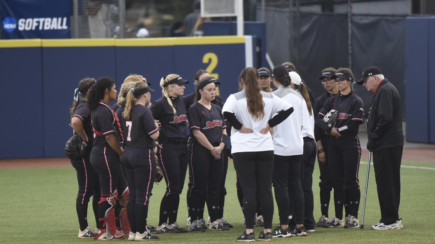 Softball releases 2020 schedule - Saint Francis University Athletics
