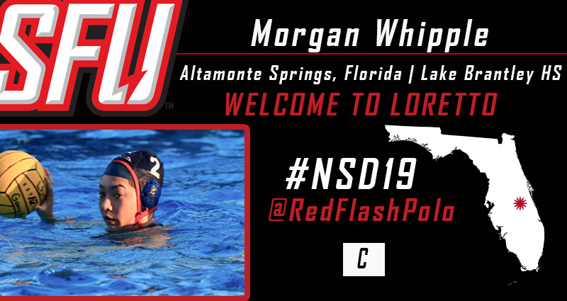Water Polo Adds Whipple - Saint Francis University Athletics