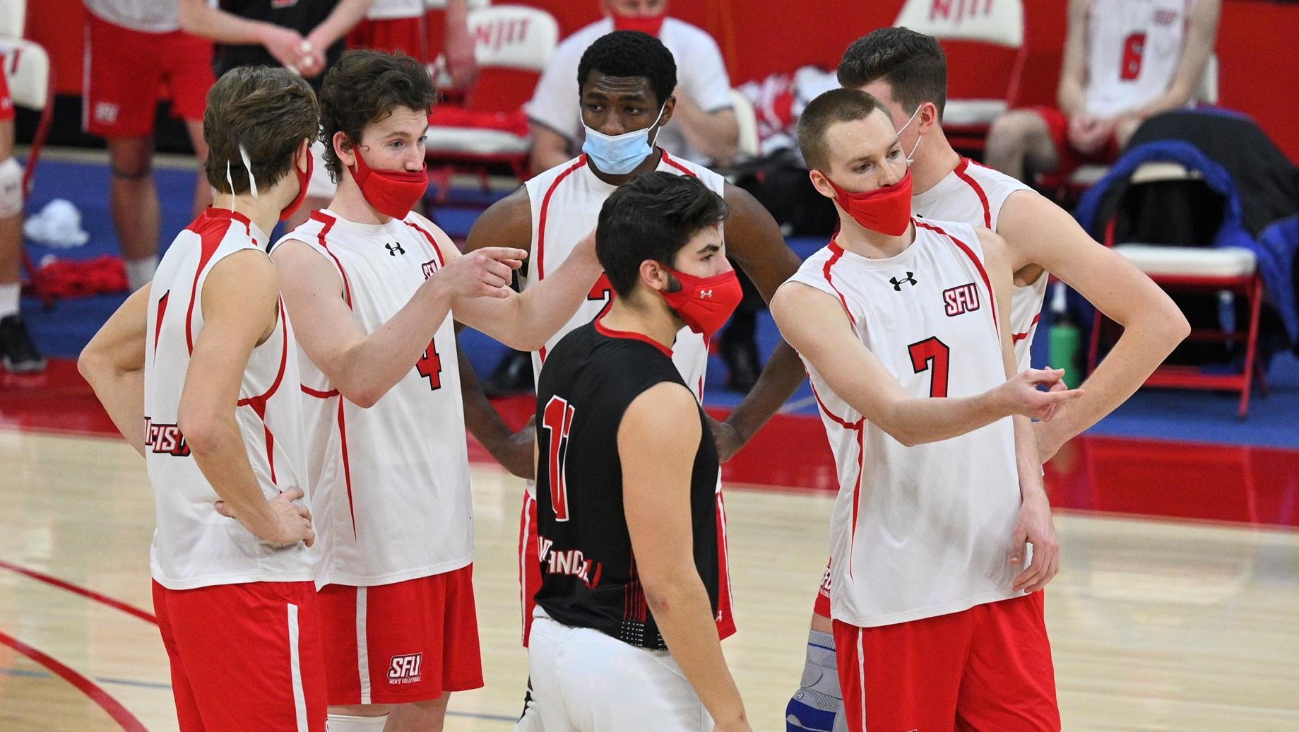 Matthew Menosky - Men's Volleyball - Saint Francis University Athletics