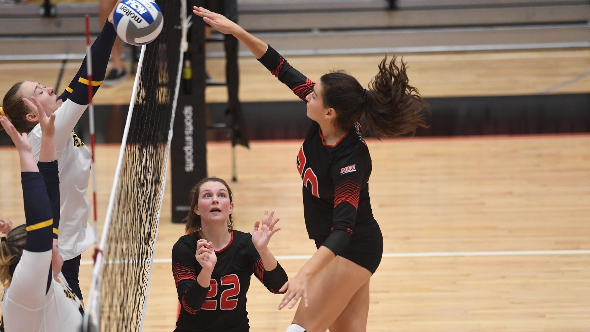 Sophie Rice - Women's Volleyball - Saint Francis University Athletics