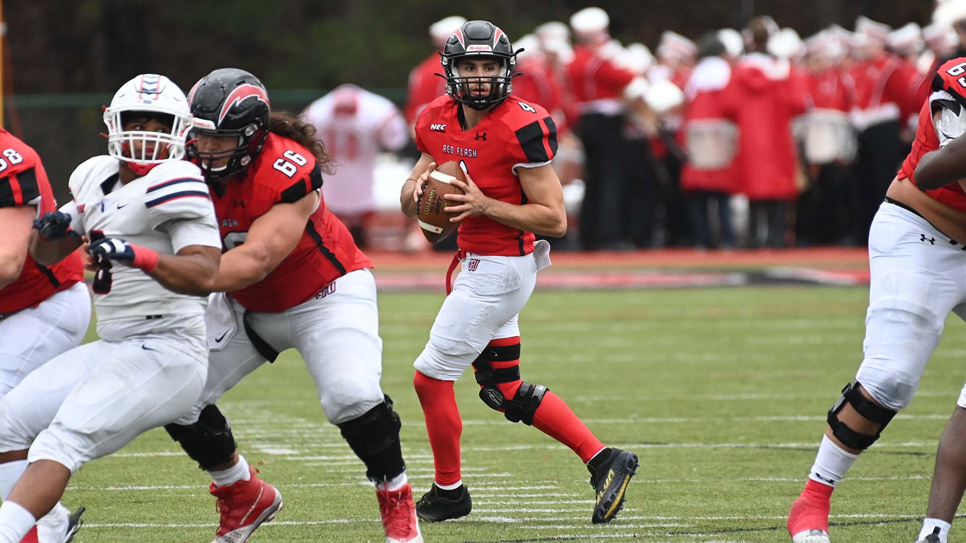 Cole Doyle - Football - Saint Francis University Athletics