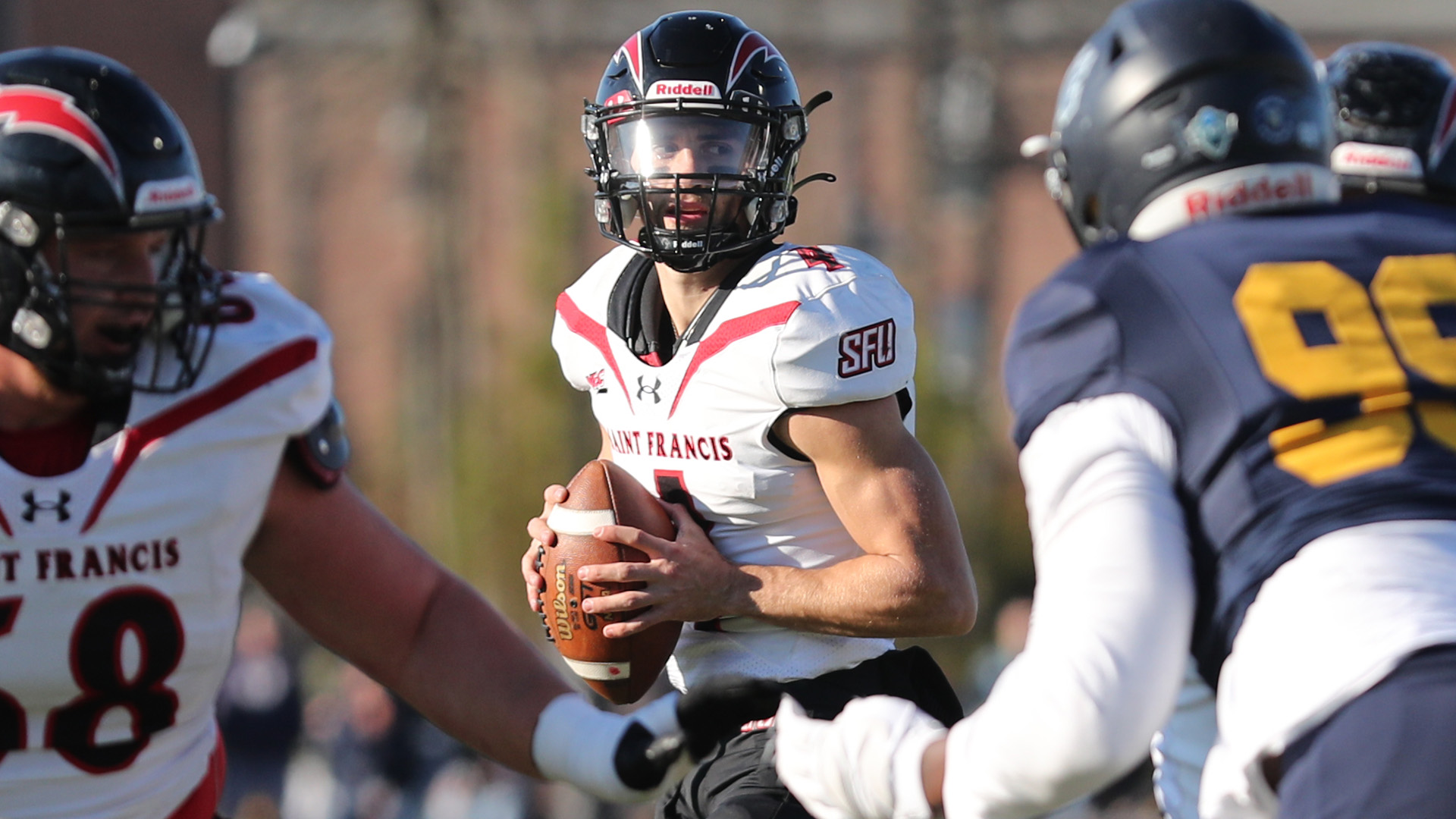 Cole Doyle - Football - Saint Francis University Athletics
