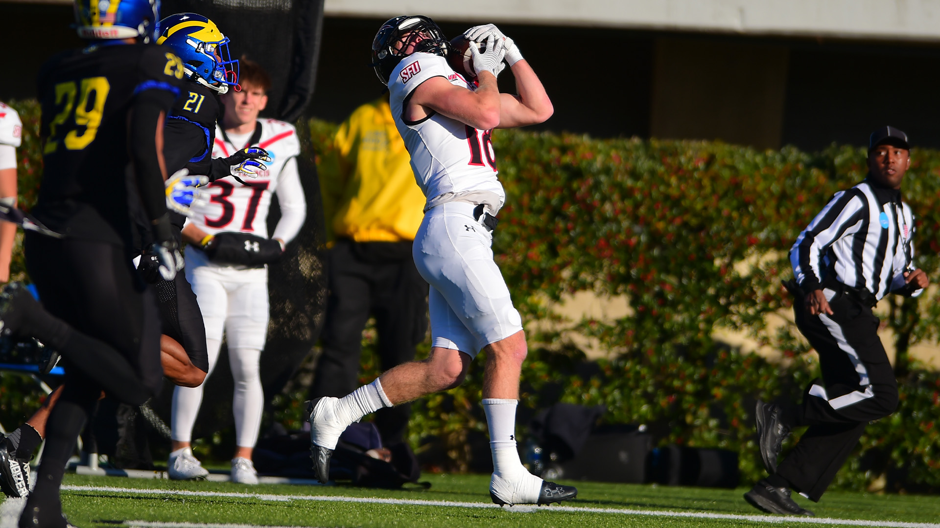 Dawson Snyder - Football - Saint Francis University Athletics