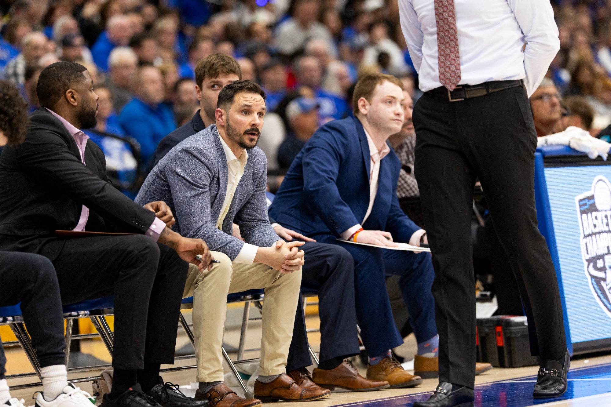 Luke McConnell Elevated To Saint Francis Men's Basketball Head Coach ...