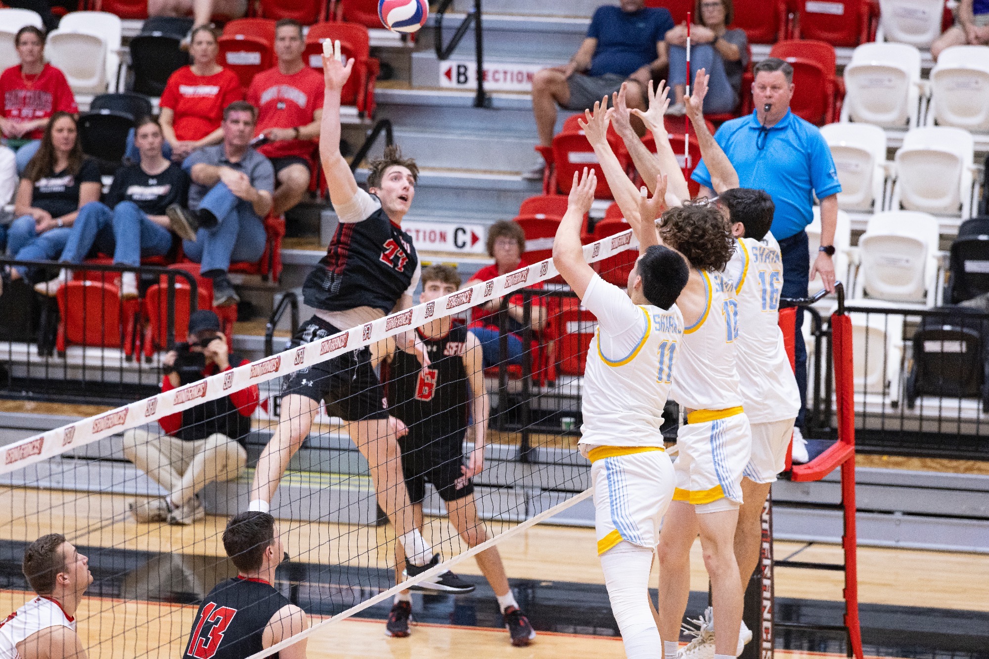 Michael Marshman Named To 2025 USA Volleyball Nations League Roster - Saint Francis University ...