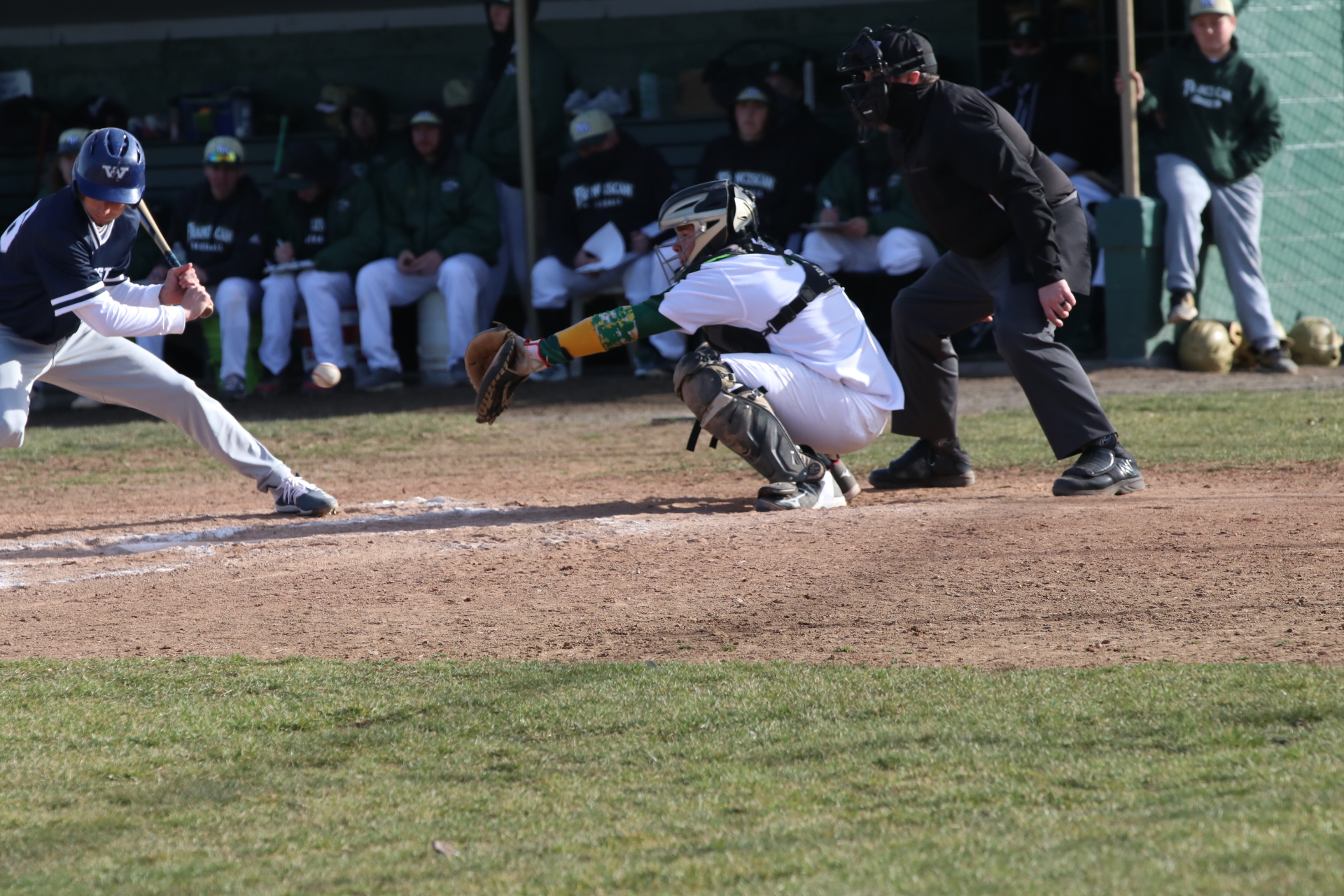 Dylan Robb - Baseball - Franciscan University of Steubenville