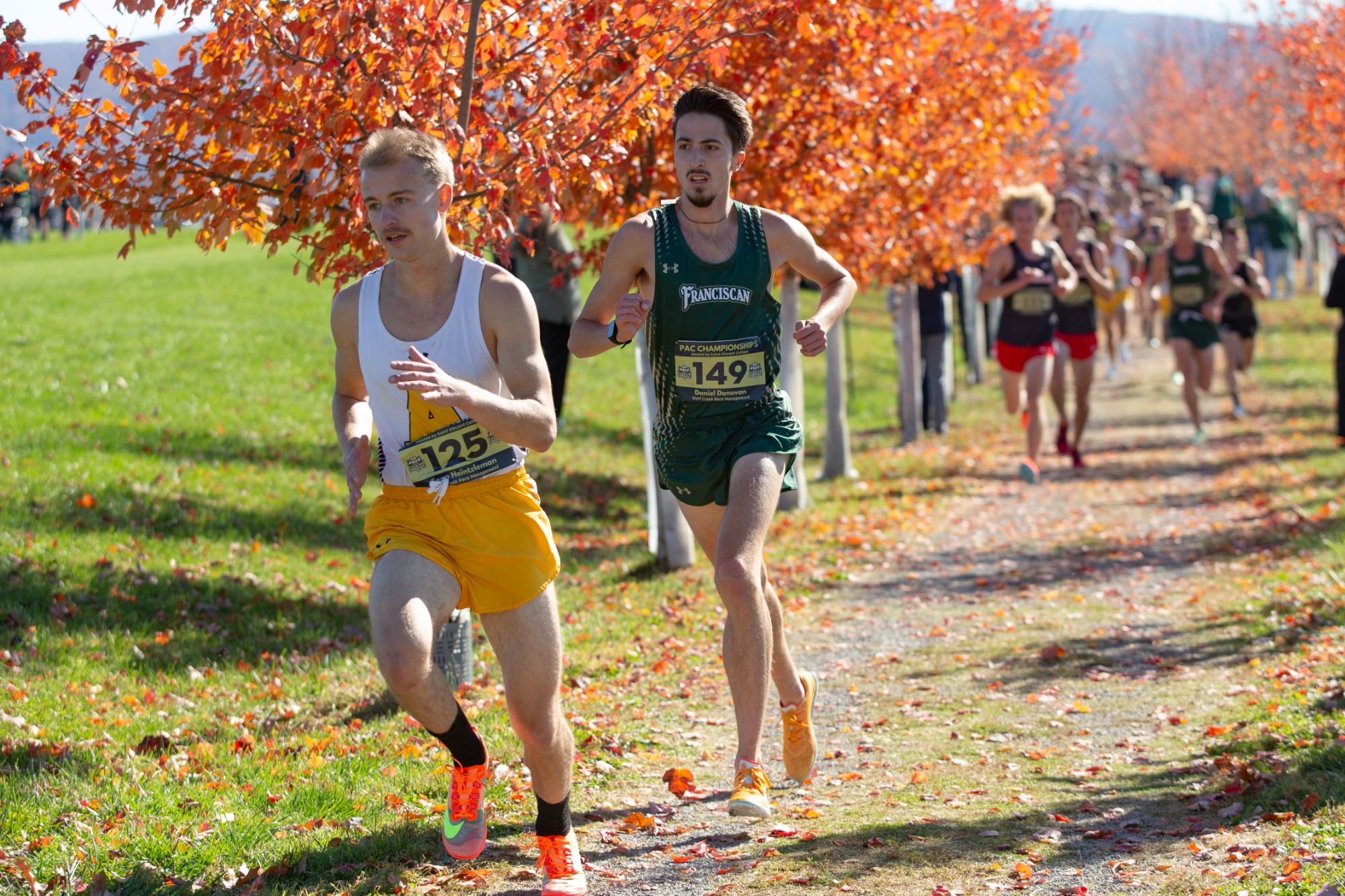 Danny Donovan - Men's Cross Country - Franciscan University of Steubenville