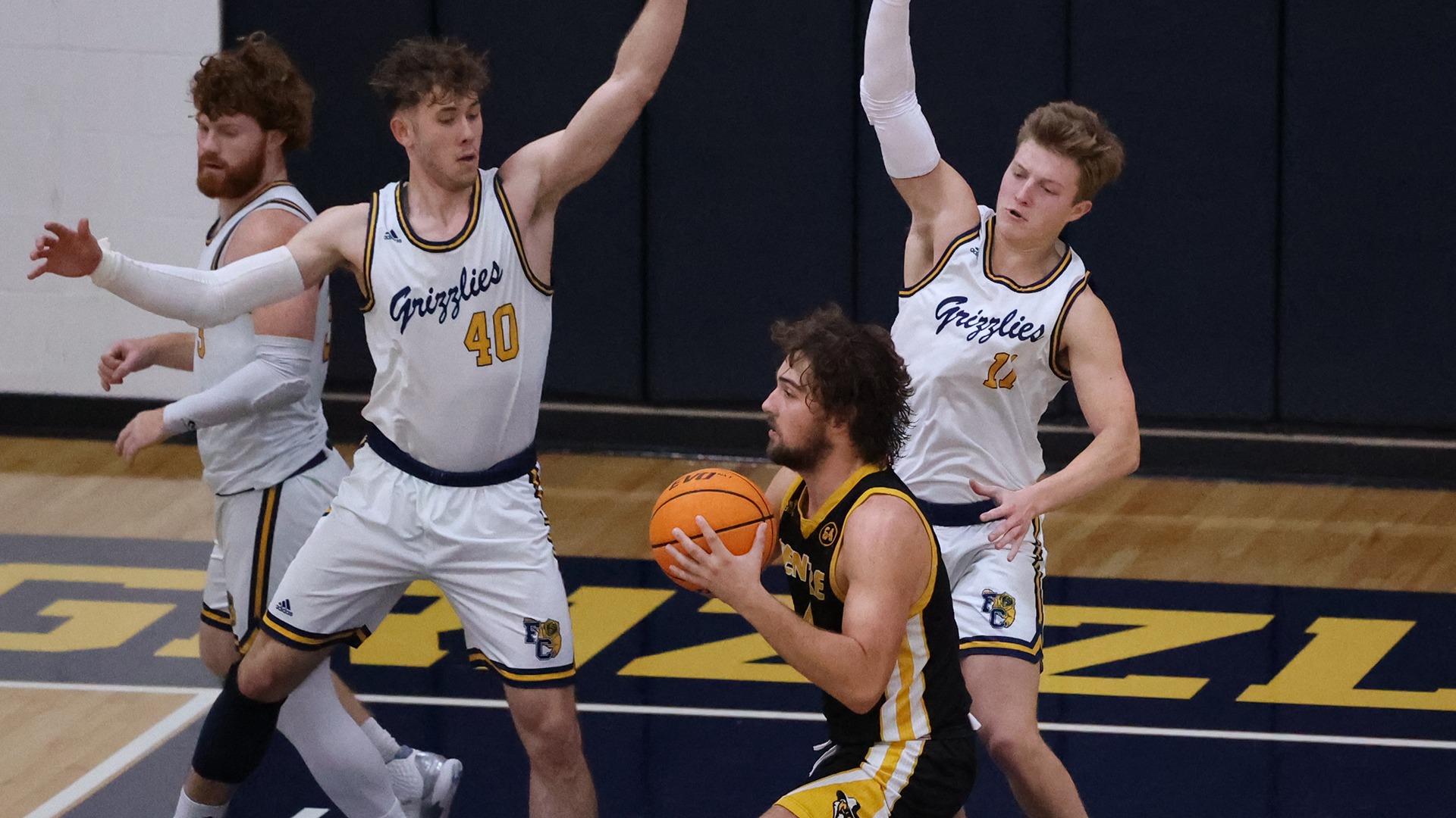 Nathaniel Hoffman - 2023-24 - Men's Basketball - Franklin College